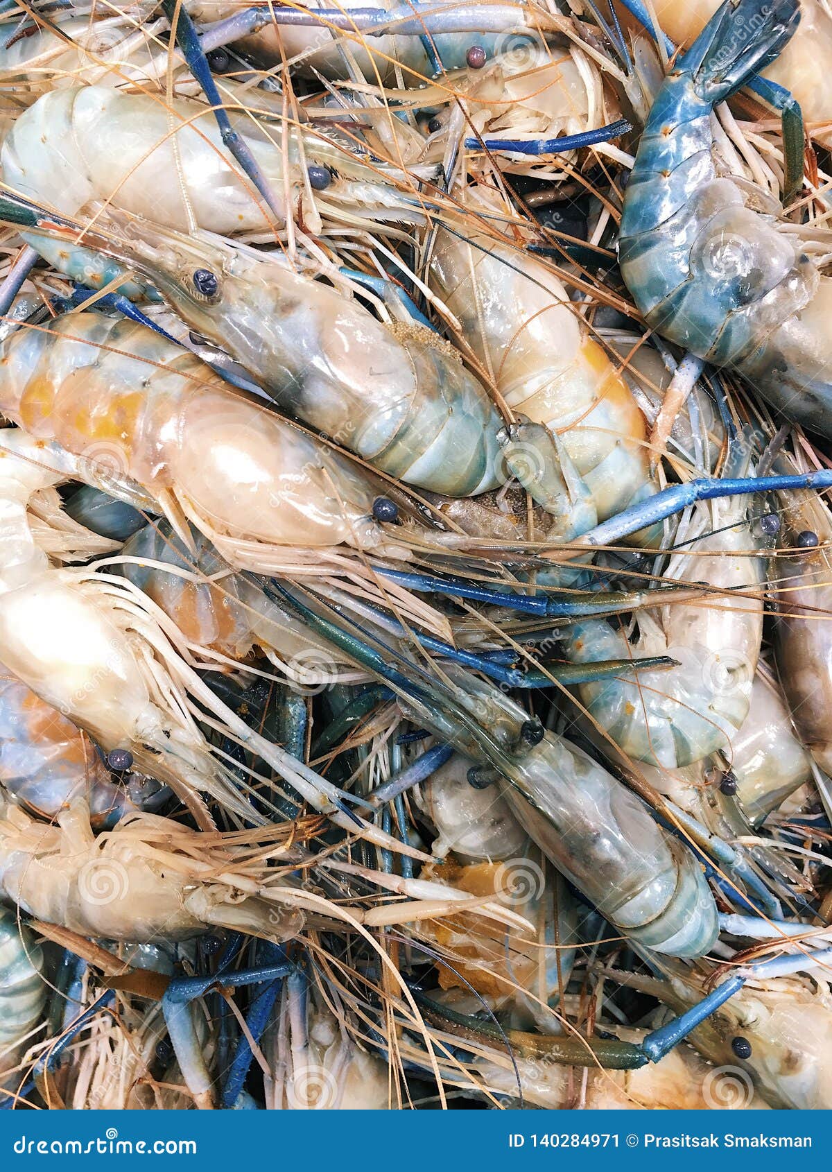 Fresh shrimp stock image. Image of supermarkets, onice - 140284971