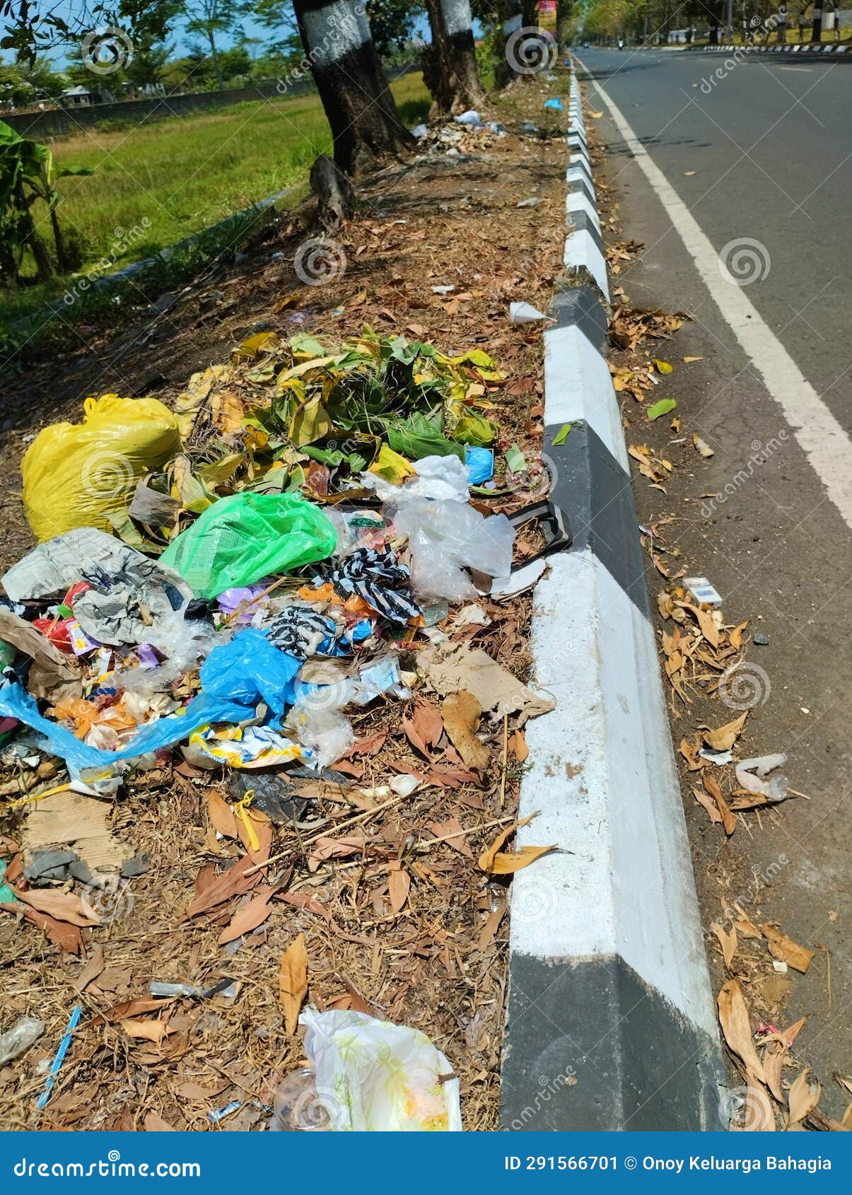 Rubbish on the Side of the Road Stock Image - Image of leaf, life ...