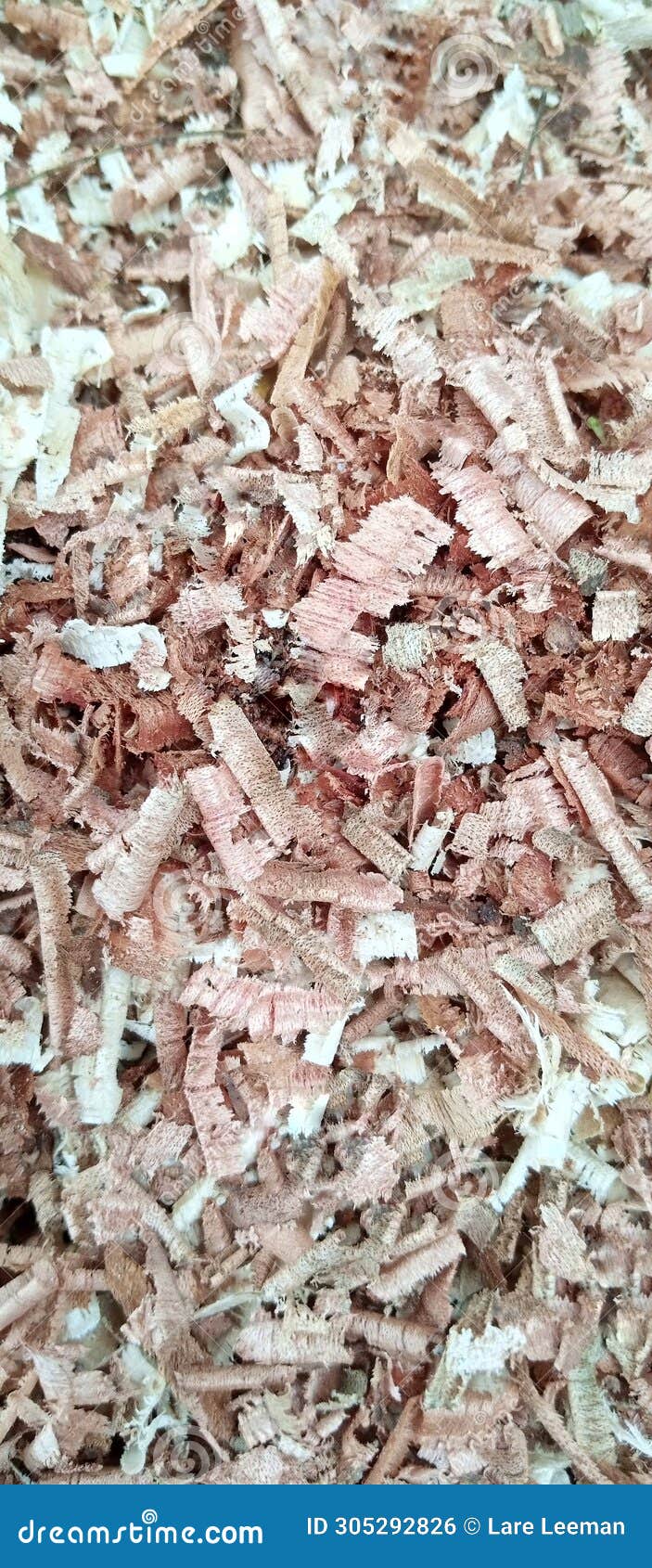 Processed Wood Planks Diagonal Stacked Texture Stock Photography ...