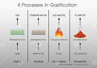 4 Processes in Gasification. Education Infographic. Vector Design ...