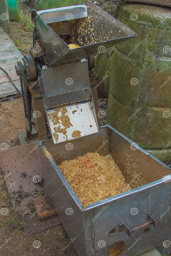 Processing of Apples for Juice Production. Stock Photo - Image of ...