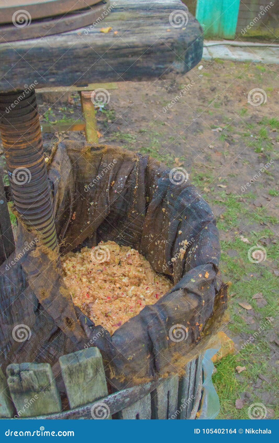 Processing of Apples for Juice Production. Stock Photo - Image of ...