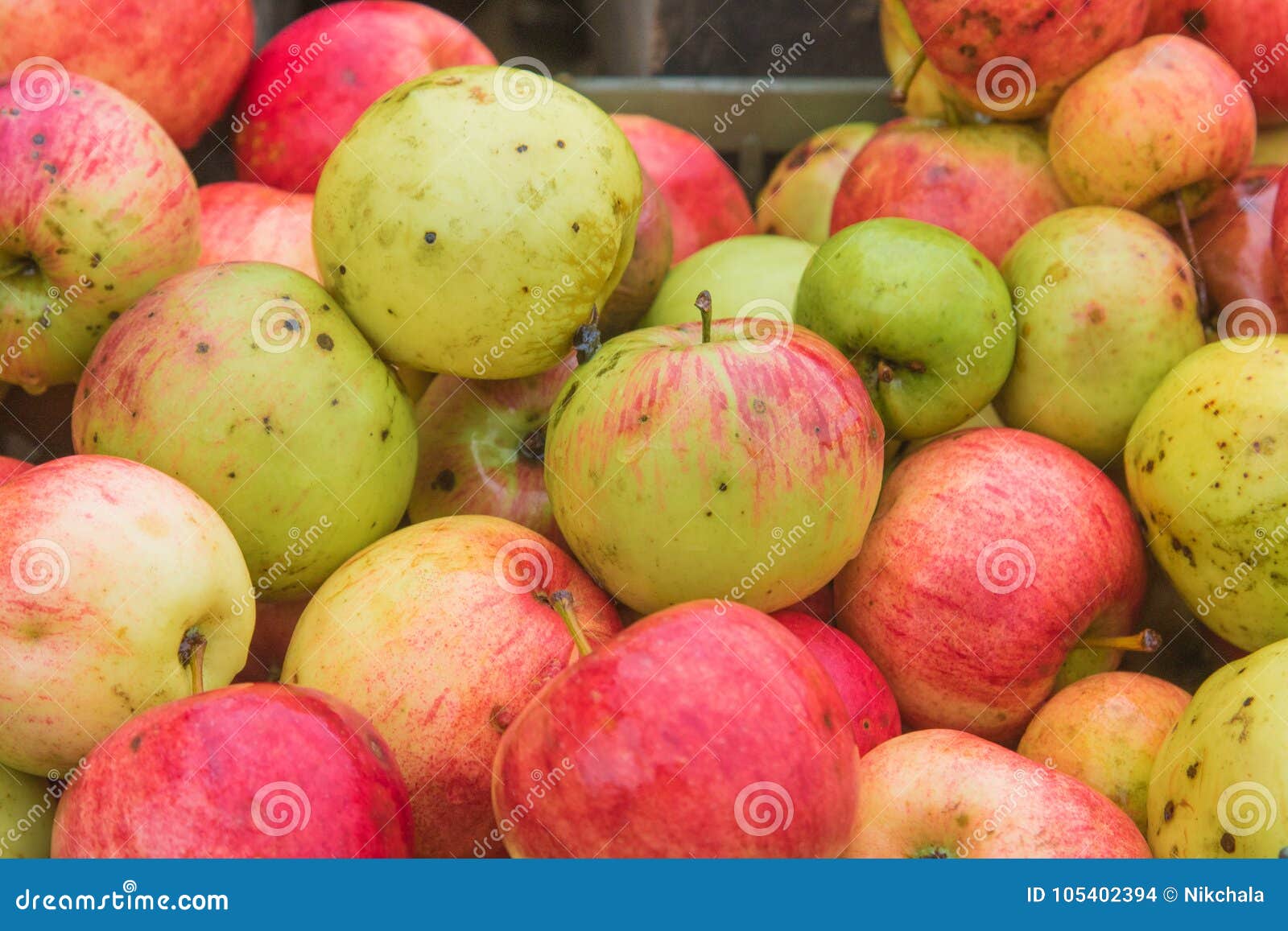 Processing of Apples for Juice Production. Stock Photo - Image of ...