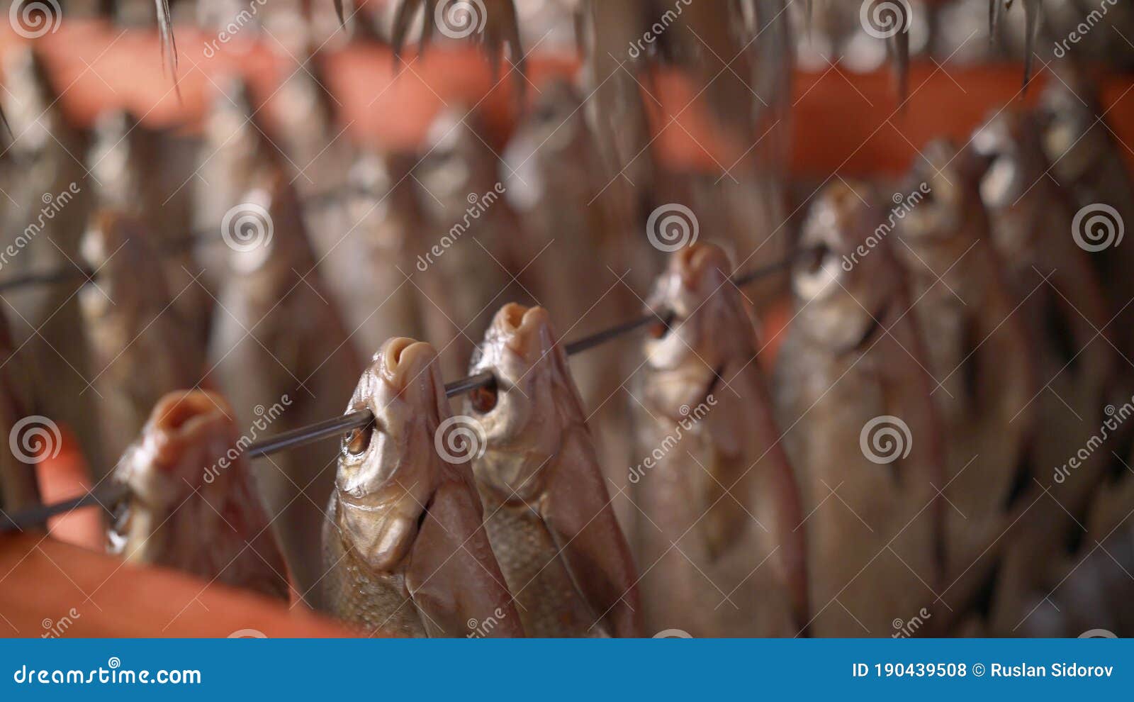Processing Dried Fish at a Fish Factory. Fish Drying. Fish Seafood ...