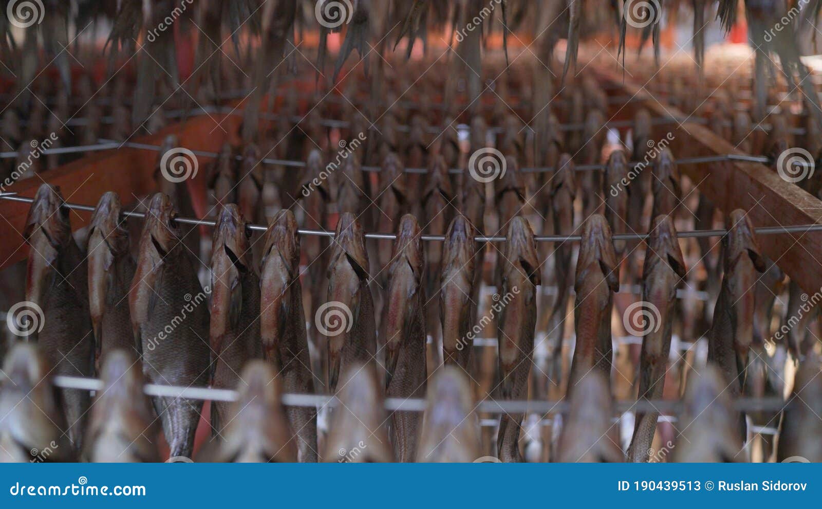 Processing Dried Fish at a Fish Factory. Fish Drying. Fish Seafood ...