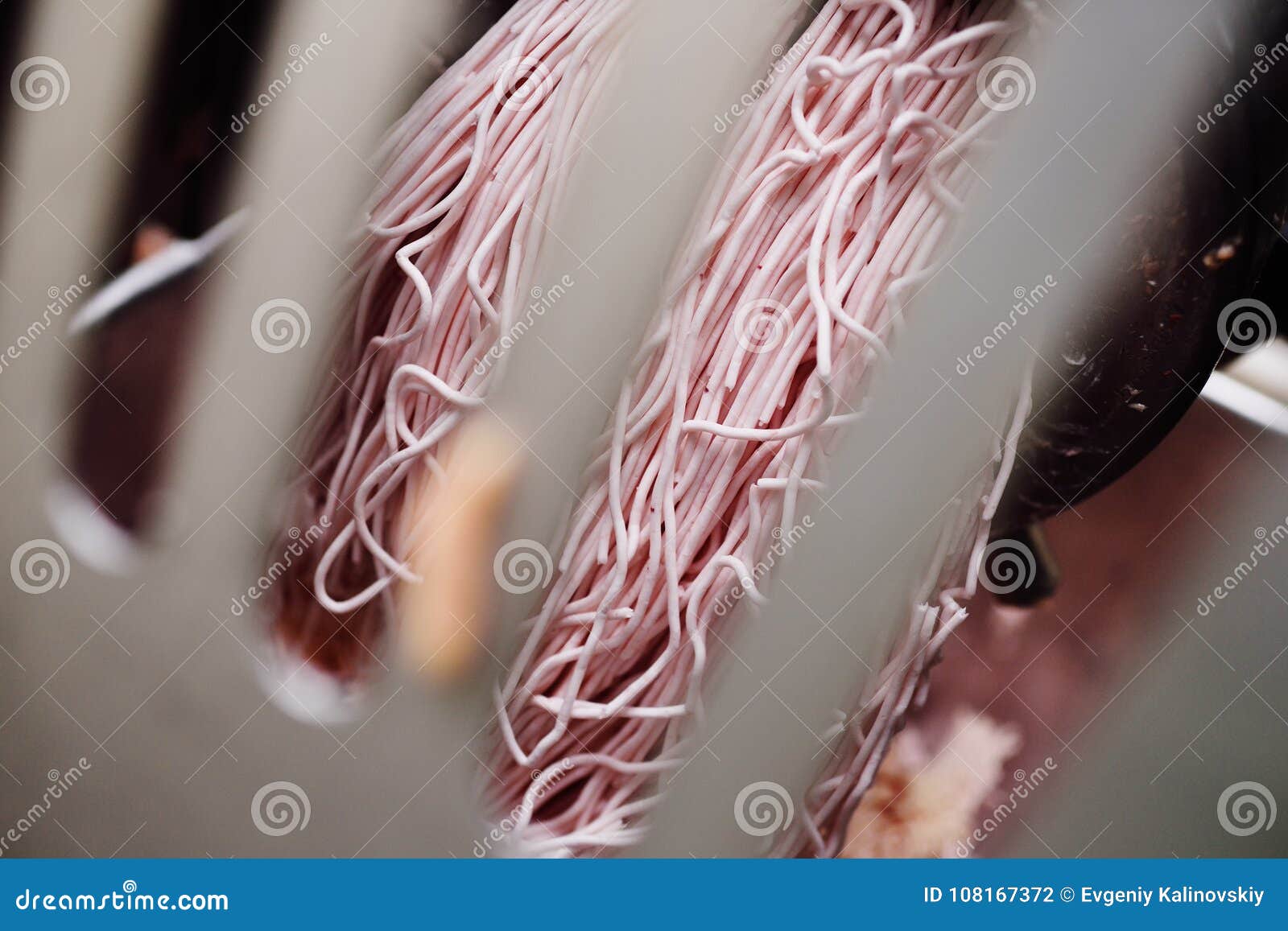 Processing Lard or Meat in Minced Meat on a Huge Meat Grinder at a Meat ...