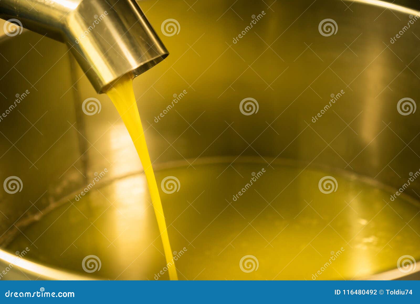 Processing of Olive Oil in a Modern Farm. Stock Photo - Image of olive ...