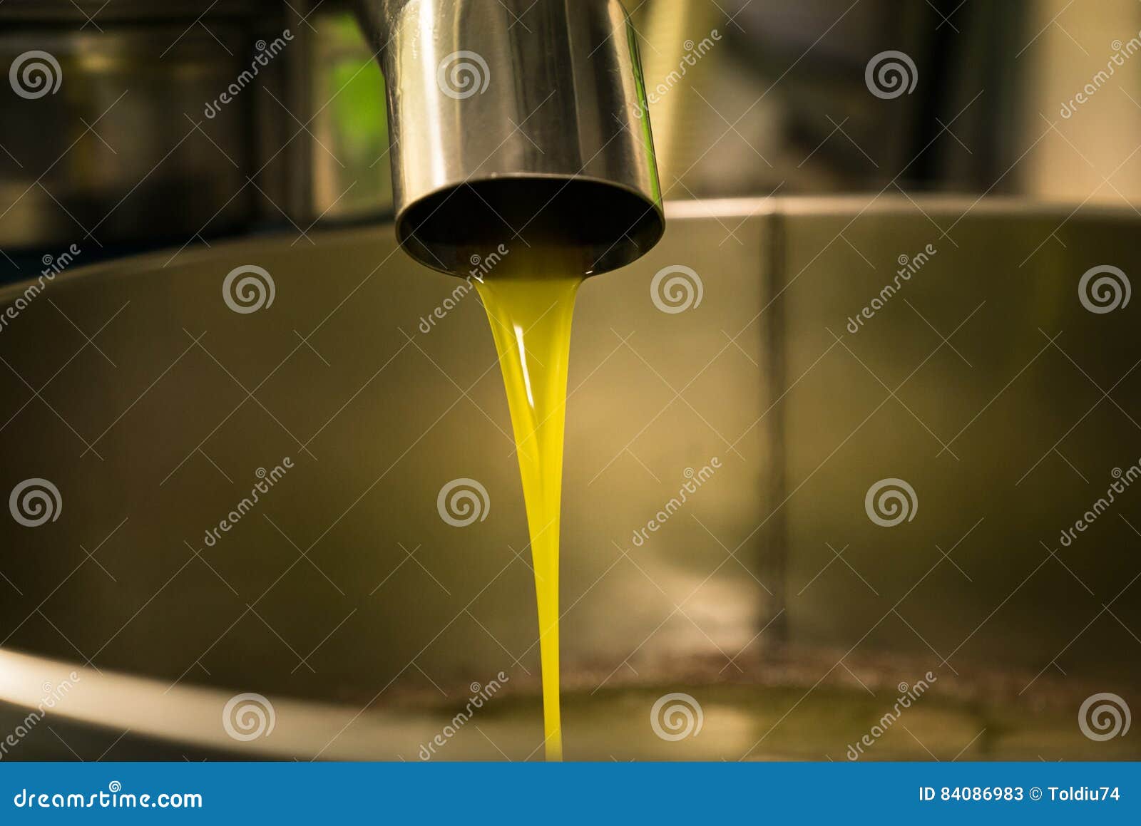 Processing of Olive Oil in a Modern Farm. Stock Image - Image of metal ...