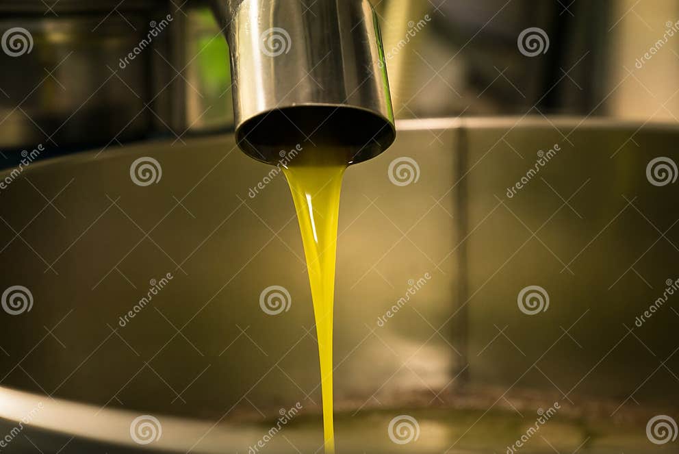 Processing of Olive Oil in a Modern Farm. Stock Image - Image of metal ...