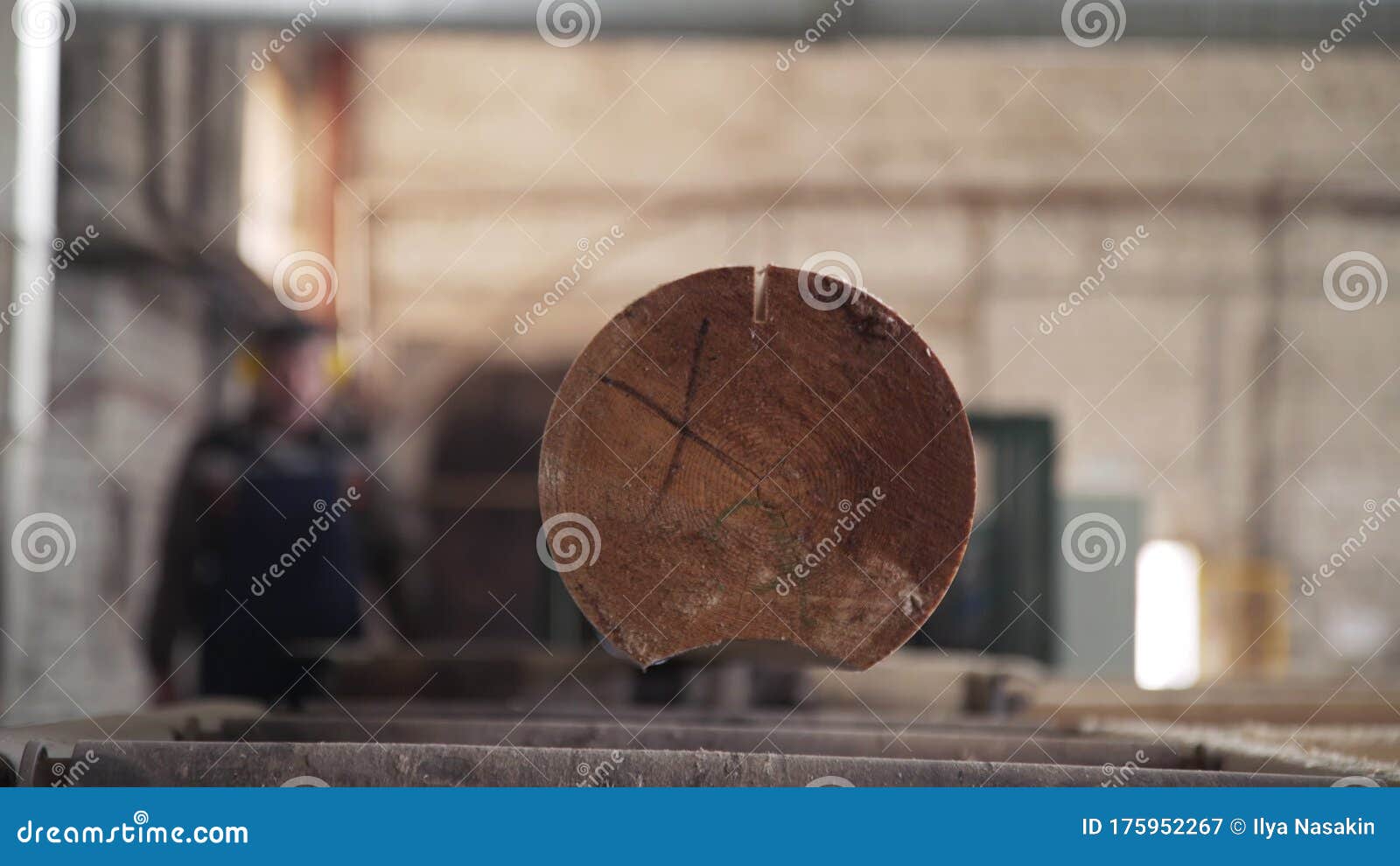 Processing of Round Timber Logs for Building Wooden House. Removing ...