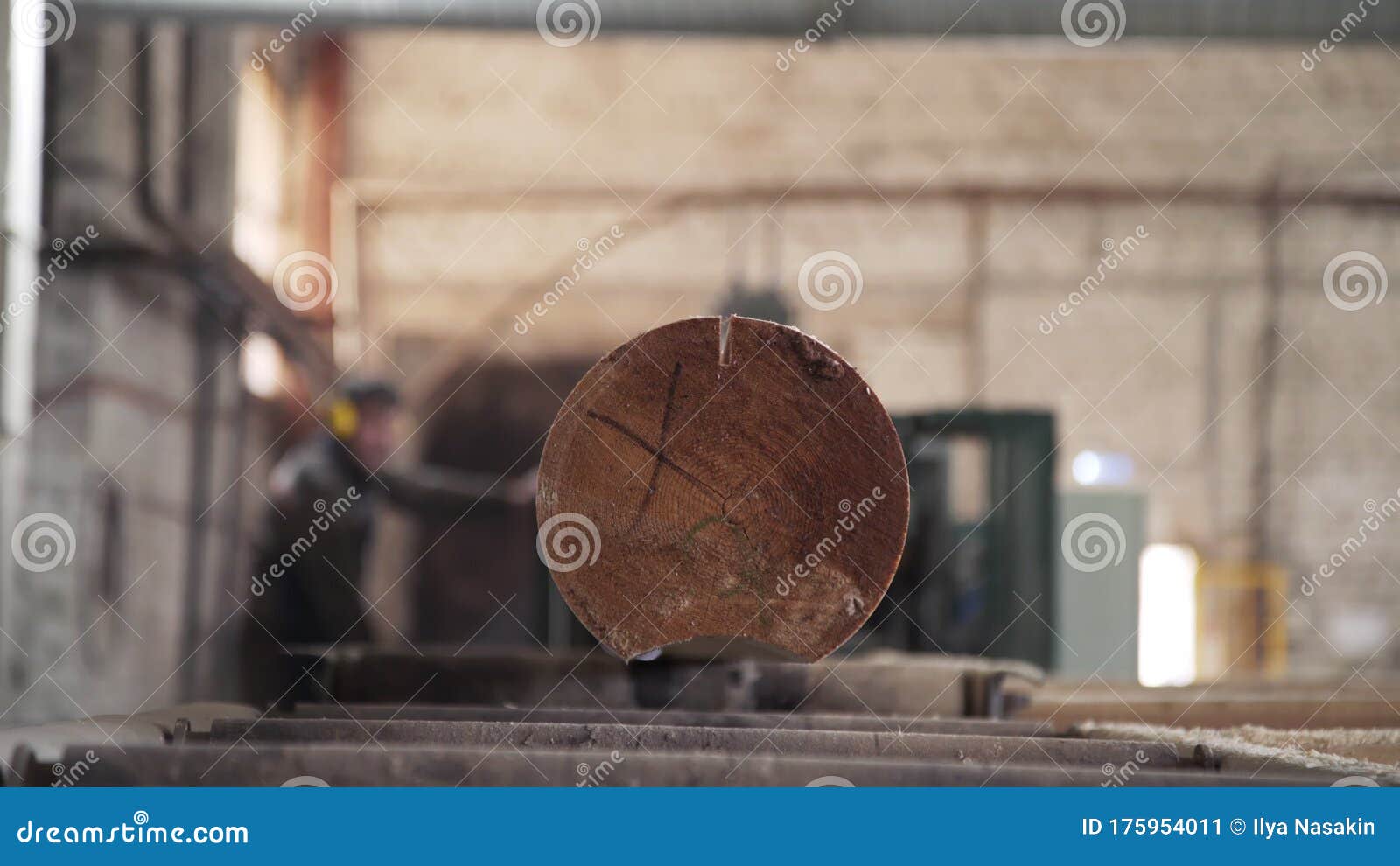Processing of Round Timber Logs. Removing Bark from Logs Using a ...