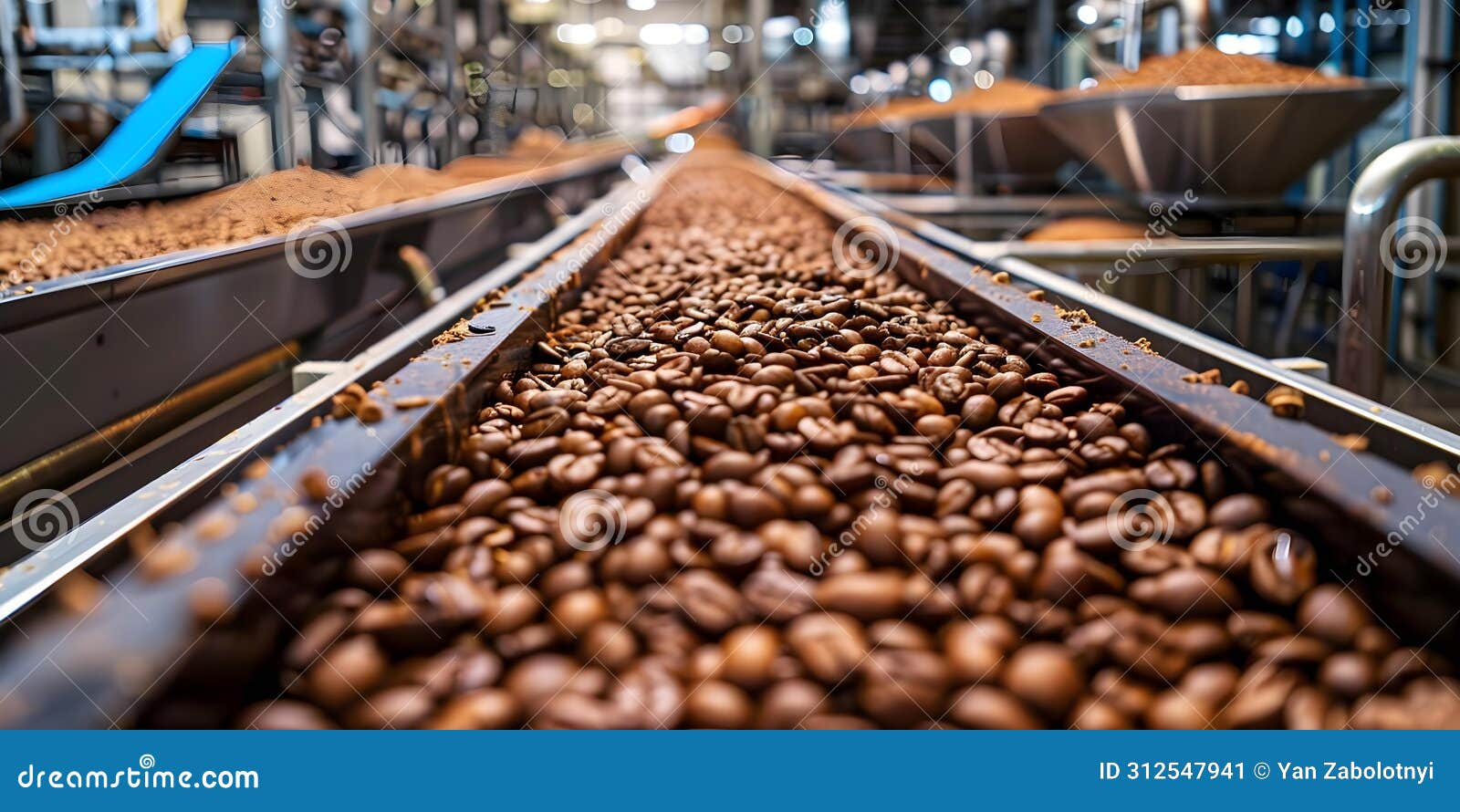 Processing and Sorting of Coffee Beans in a Production Facility ...