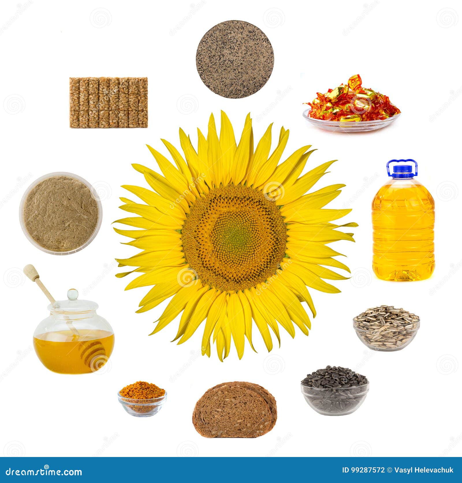 Processing of a sunflower stock photo. Image of processing - 99287572