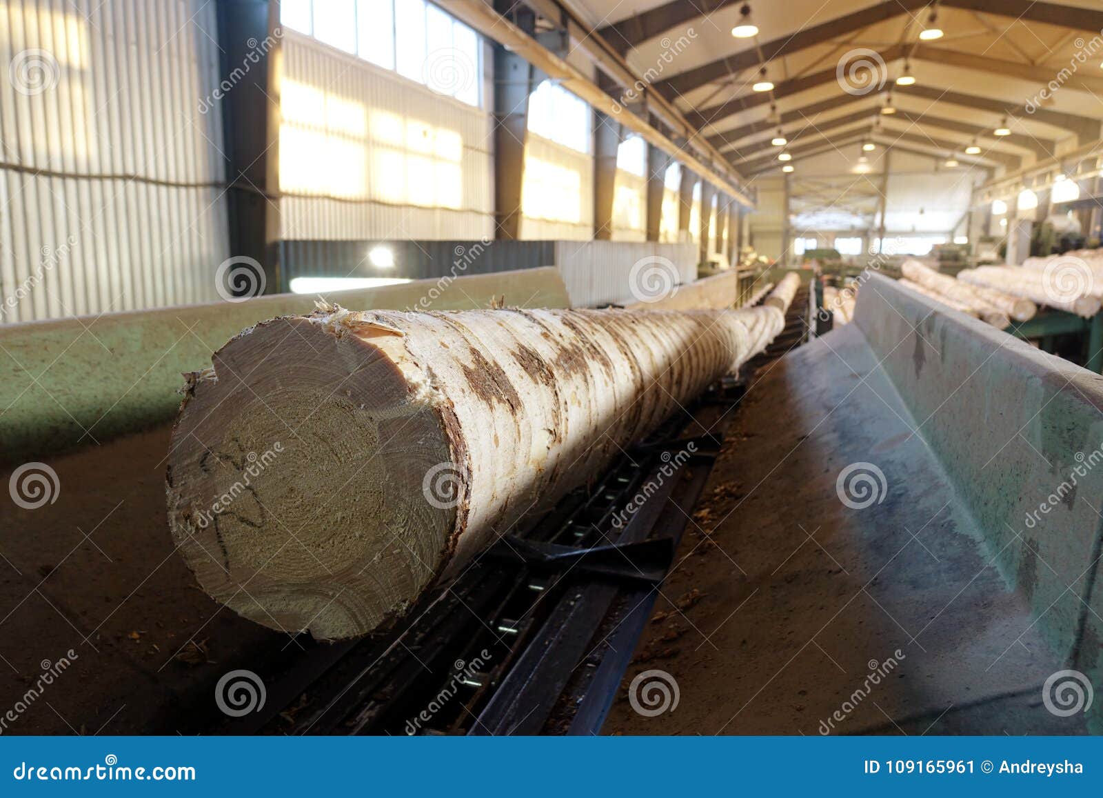 Processing of Timber at the Sawmill Stock Image - Image of cutting ...
