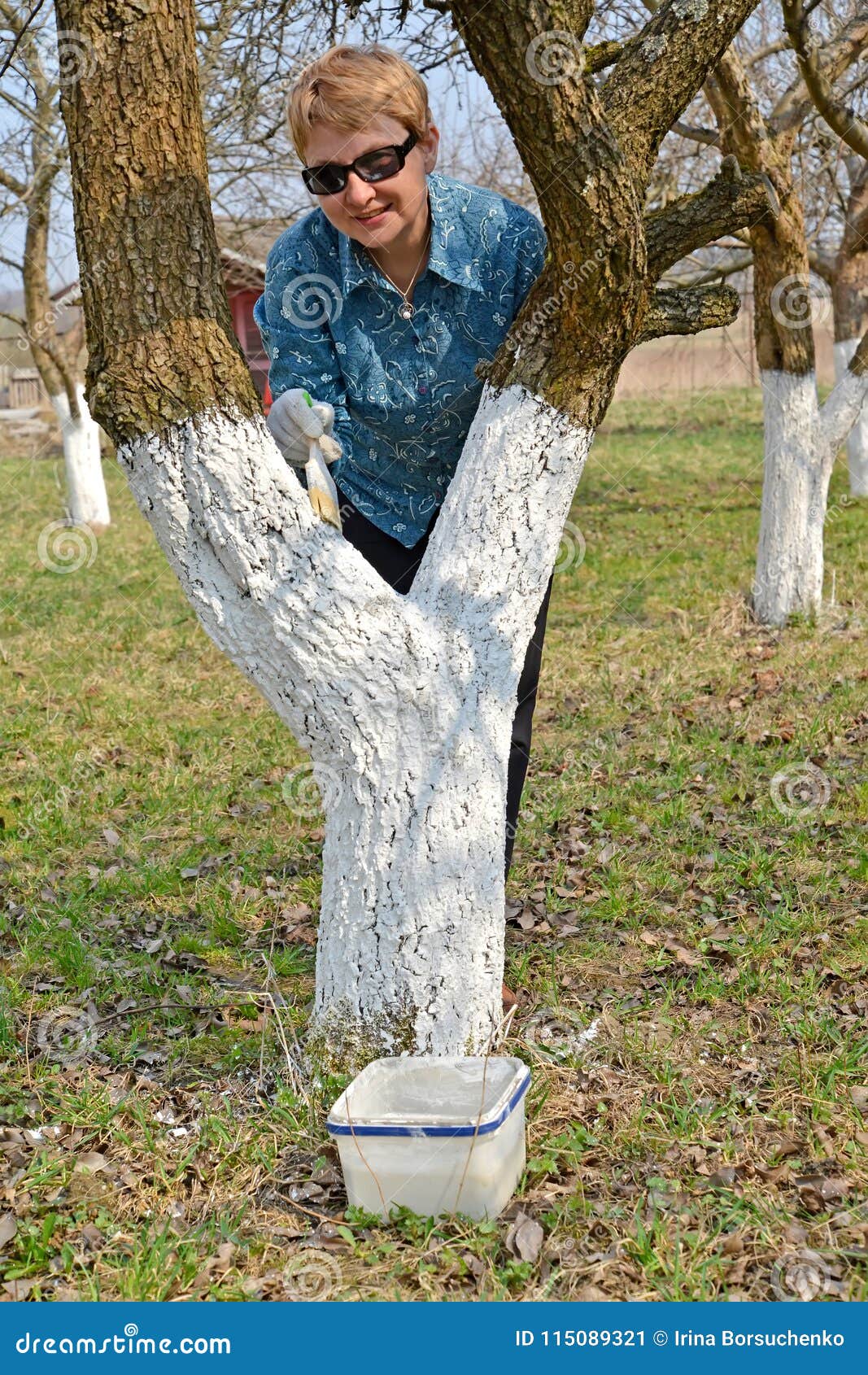 Limy Solution Stock Photos - Free & Royalty-Free Stock Photos from ...