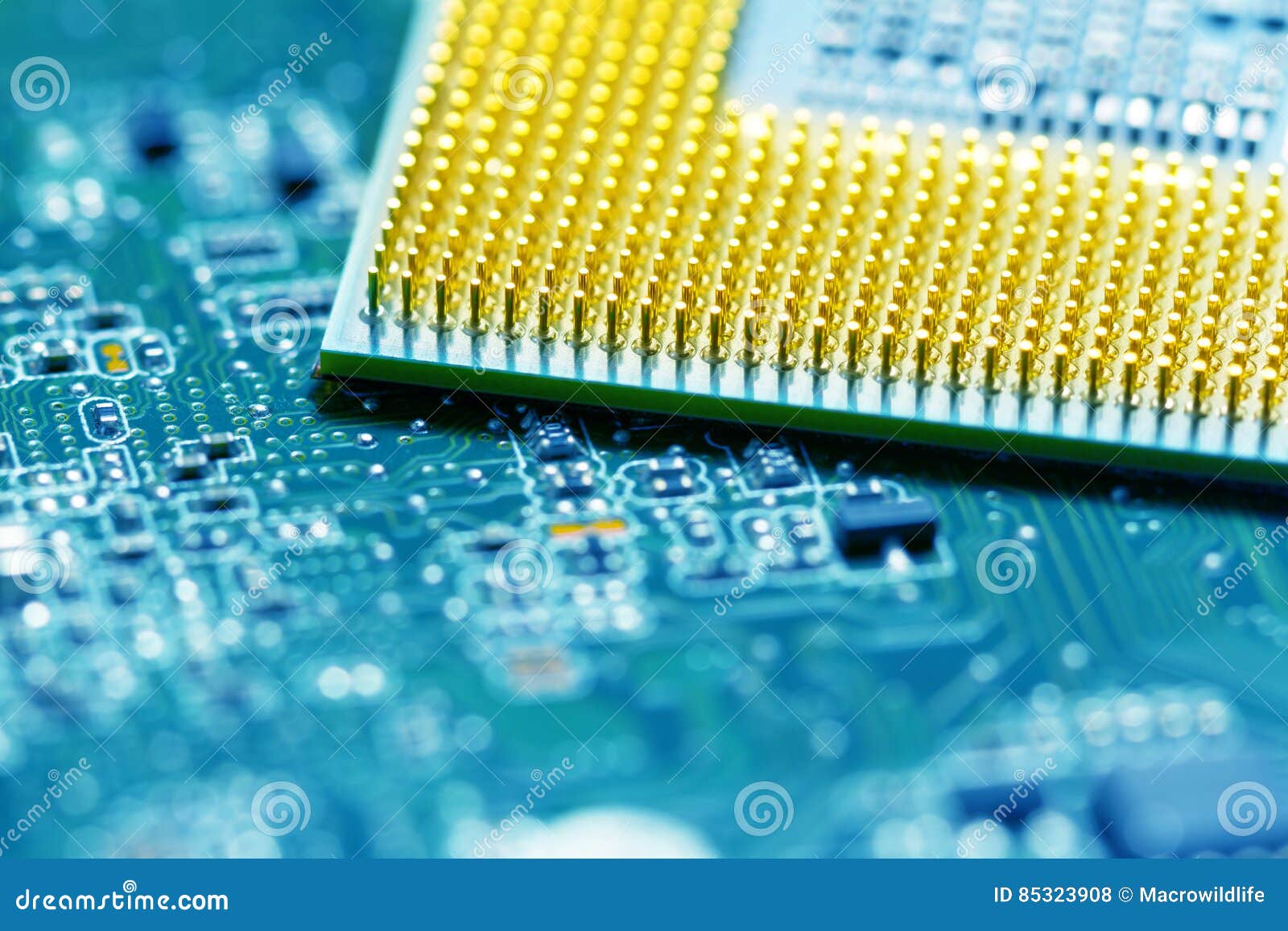 Processor on Blue Circuit Board with Gold-plated Contacts Close Up ...