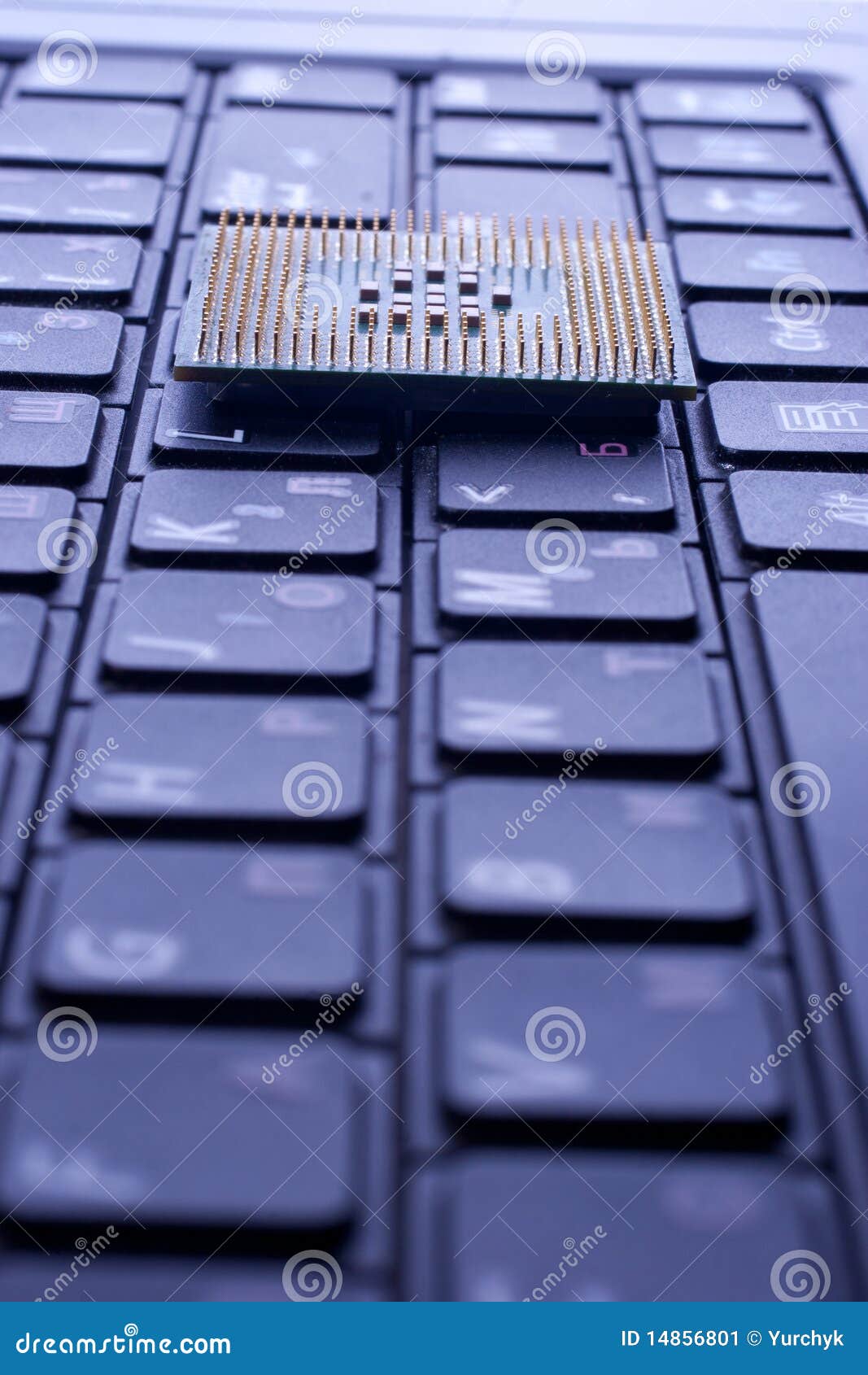 Processor Chip on Computer Keyboard Stock Image - Image of closeup ...
