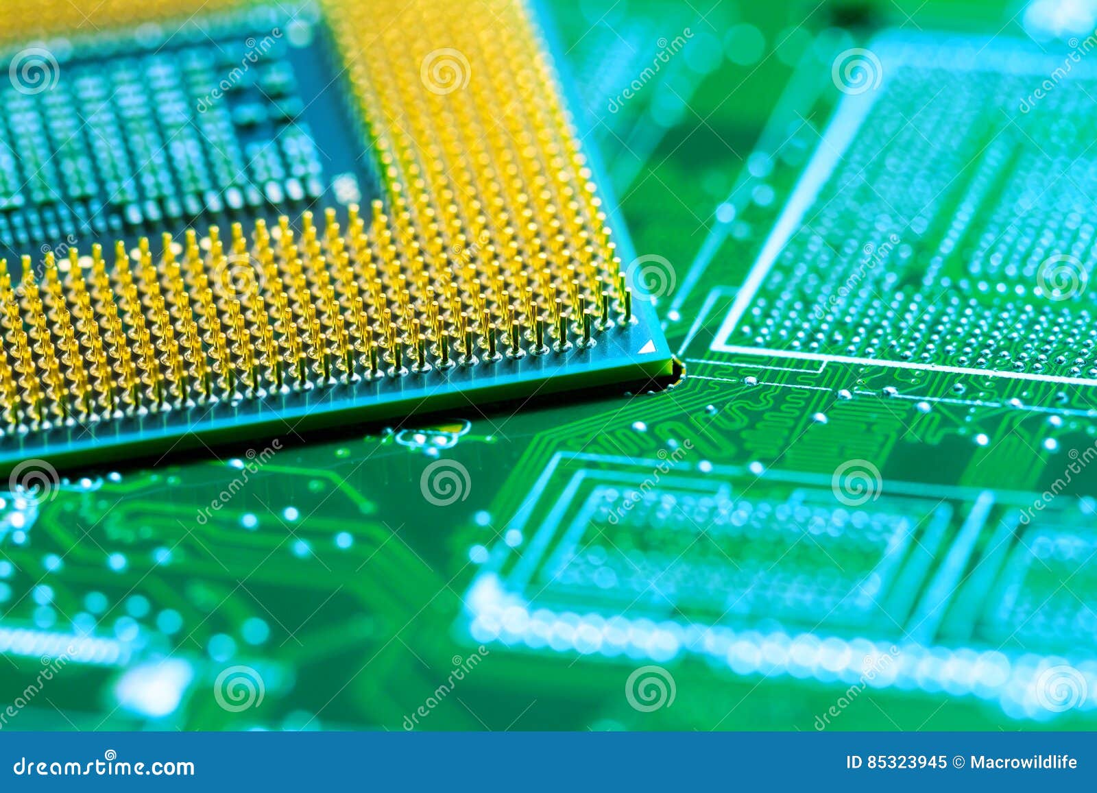 Processor on Circuit Board with Gold-plated Contacts Close Up. Bottom ...