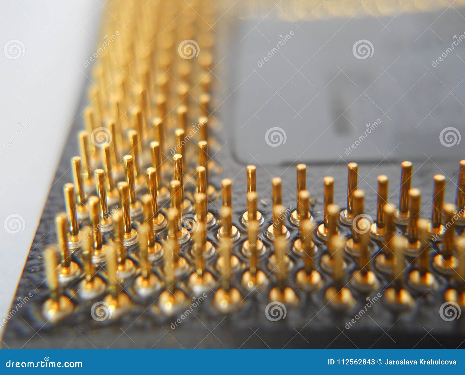 Processor Gold Contacts stock image. Image of silicon - 112562843