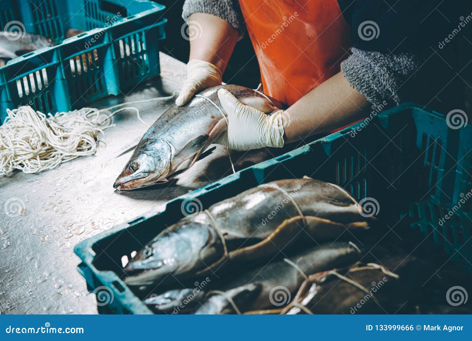 Processus D'usine De Traitement Du Poisson Photo stock - Image du cadre ...