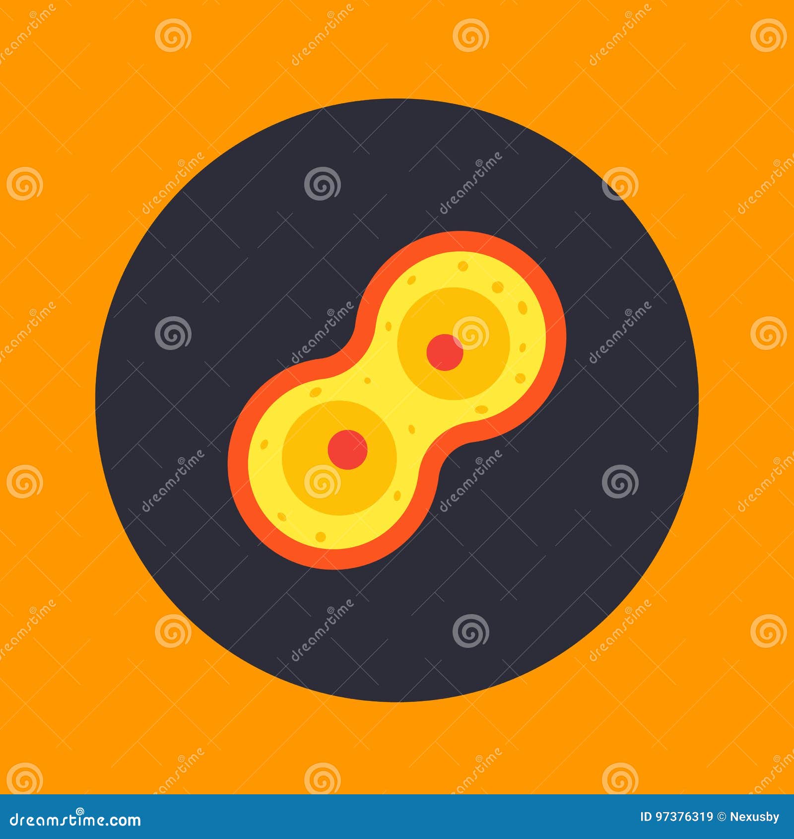 Processus De Division Cellulaire, Icône De Mitose Illustration de Vecteur - Illustration du ...
