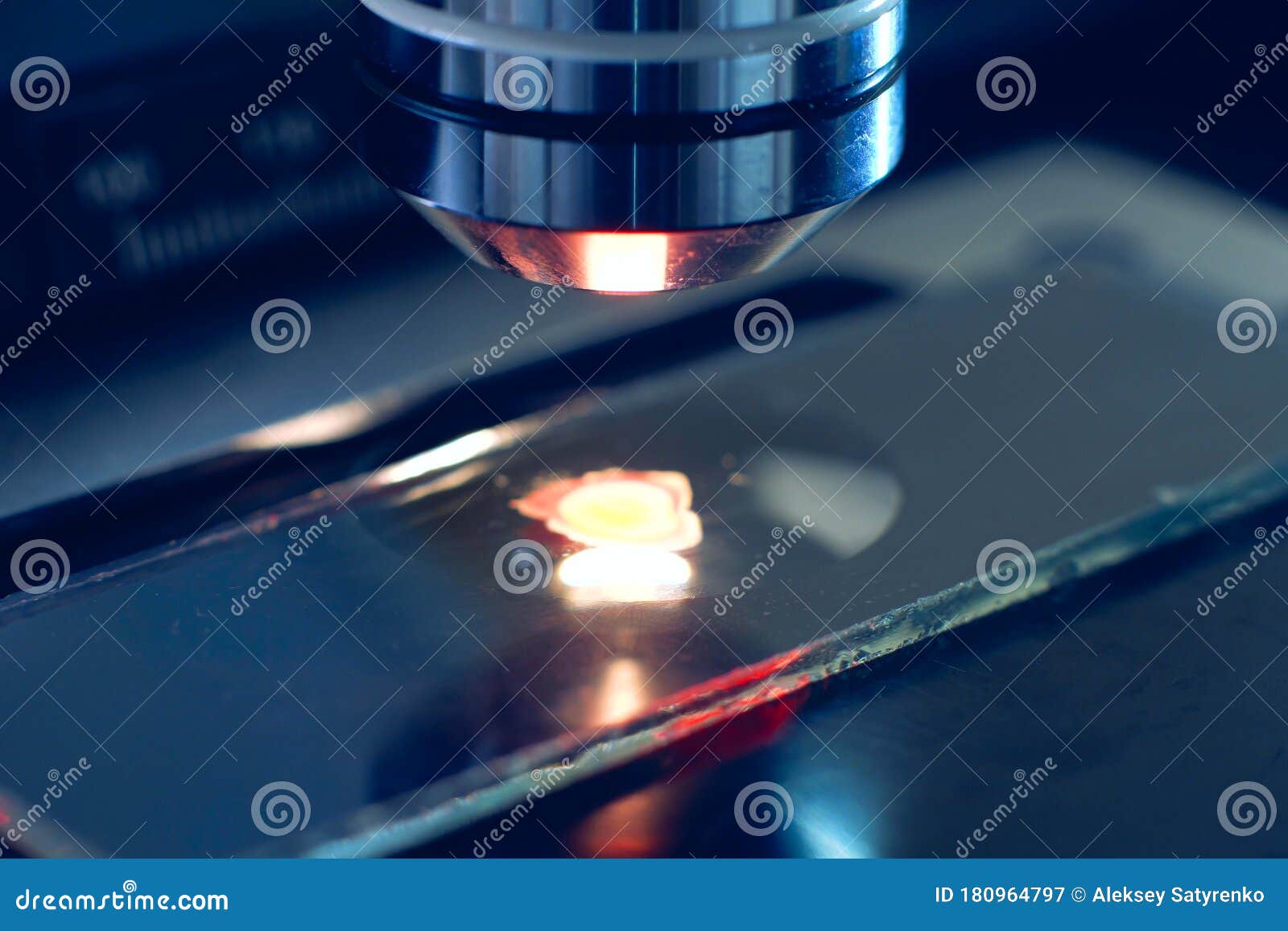 Proche De La Prise De Sang Sur Un Verre De Microscope Image stock ...