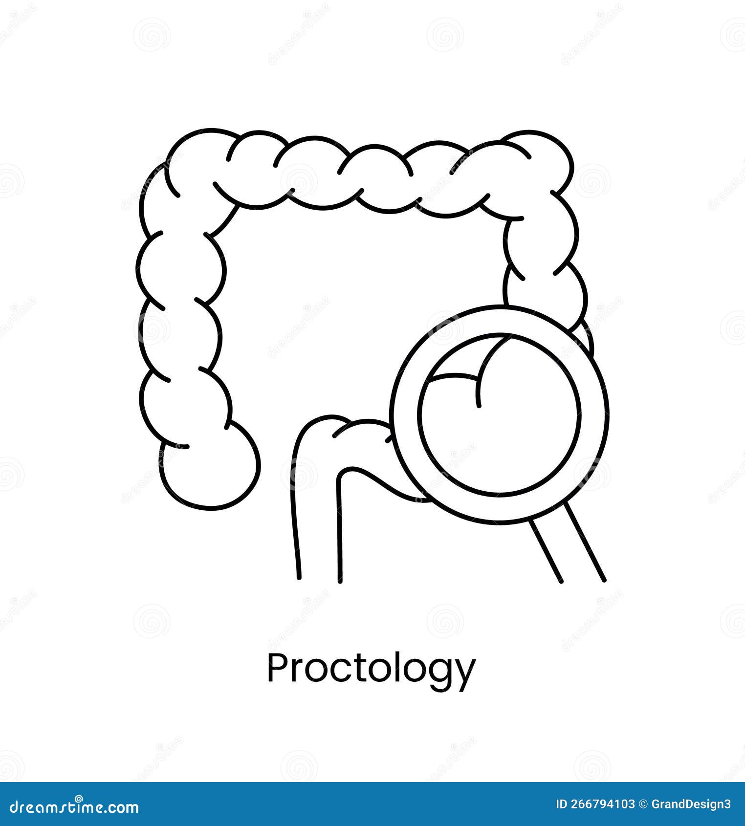 Proctology Icon Line in Vector, Illustration of Bowel with Magnifying ...
