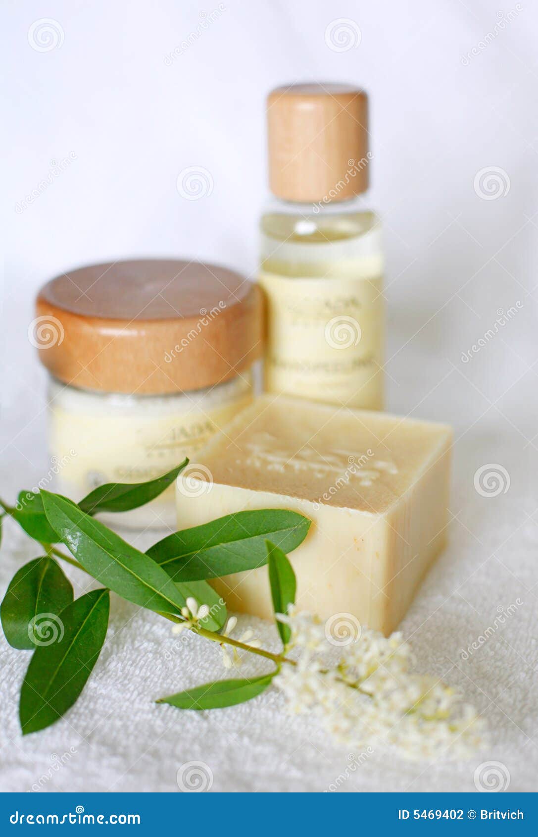 Prodotti Di Bellezza Naturali Fotografia Stock - Immagine di manicure ...