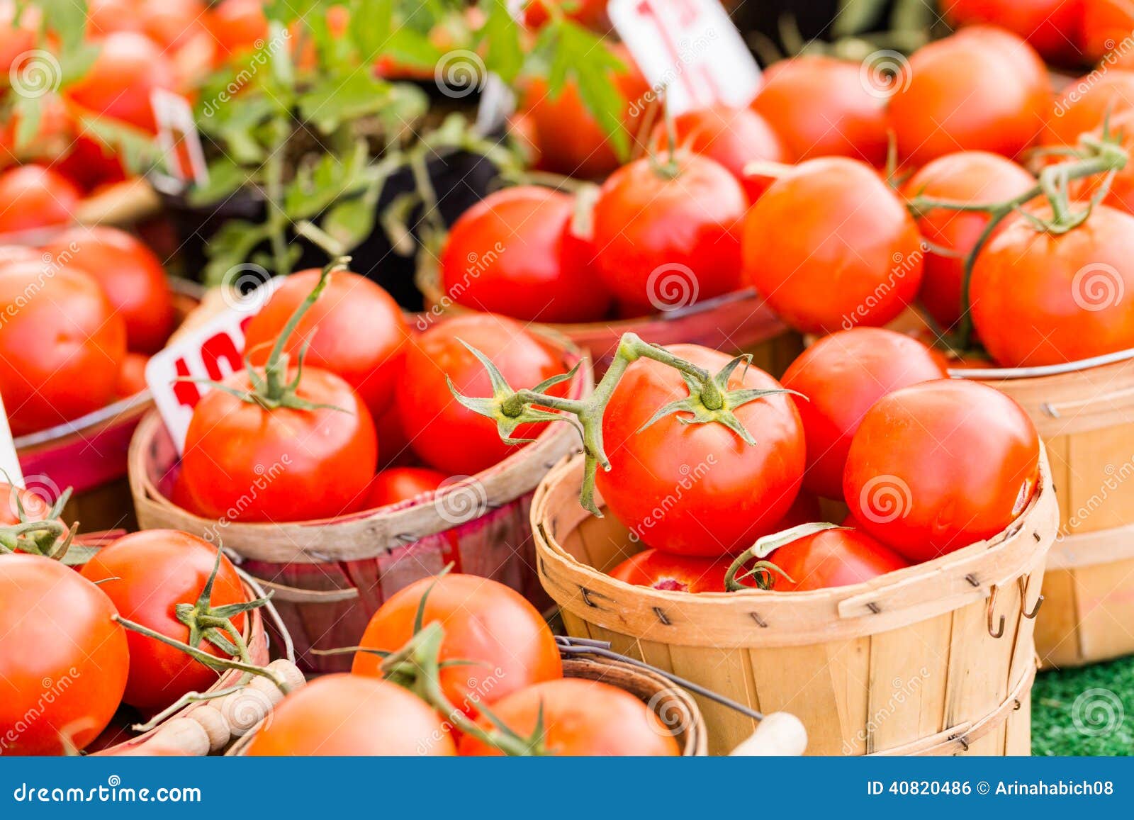 Prodotti freschi fotografia stock. Immagine di cestino - 40820486