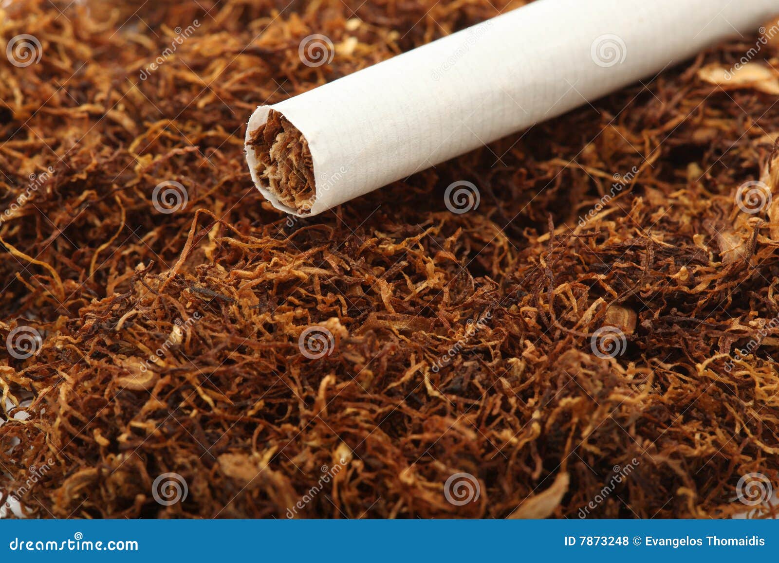Prodotto di Tabacco fotografia stock. Immagine di macro - 7873248