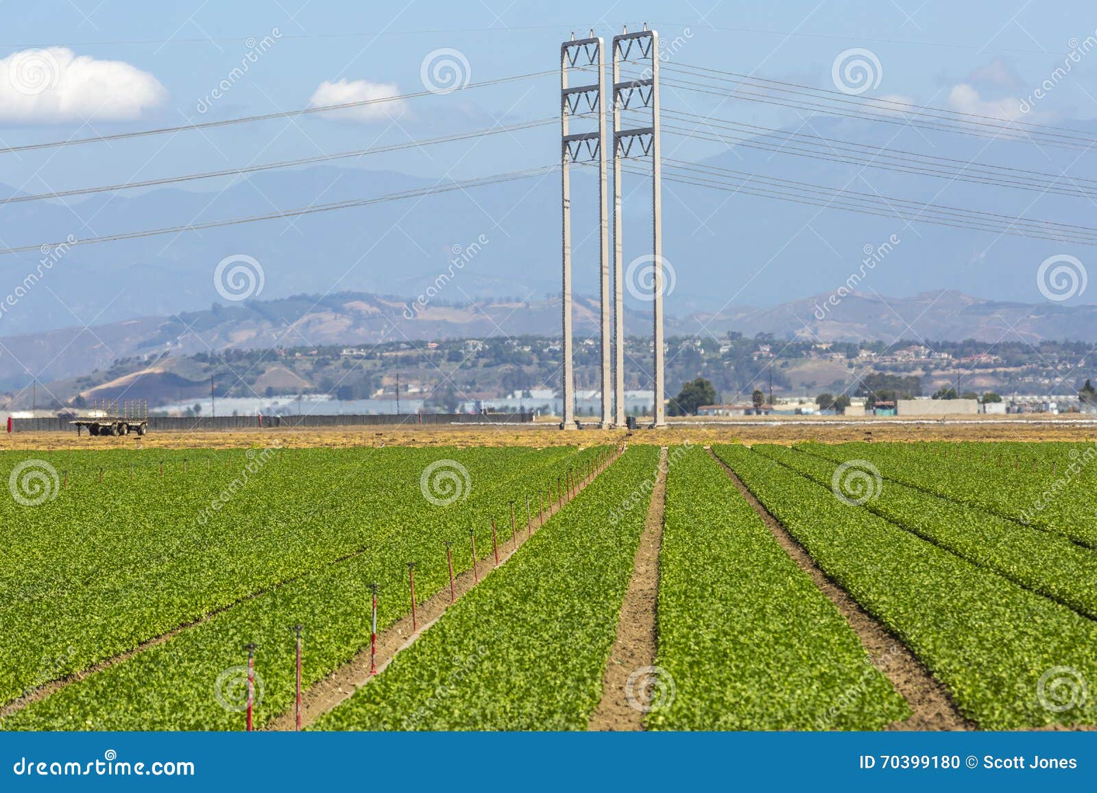 Produce Fields stock photo. Image of transmission, farm - 70399180