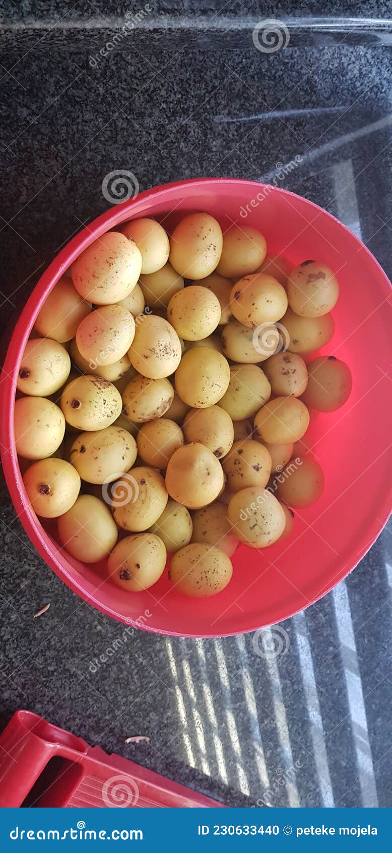 Produce; Marula, Amarula; Fruit Stock Photo - Image of fruit, cuisine ...