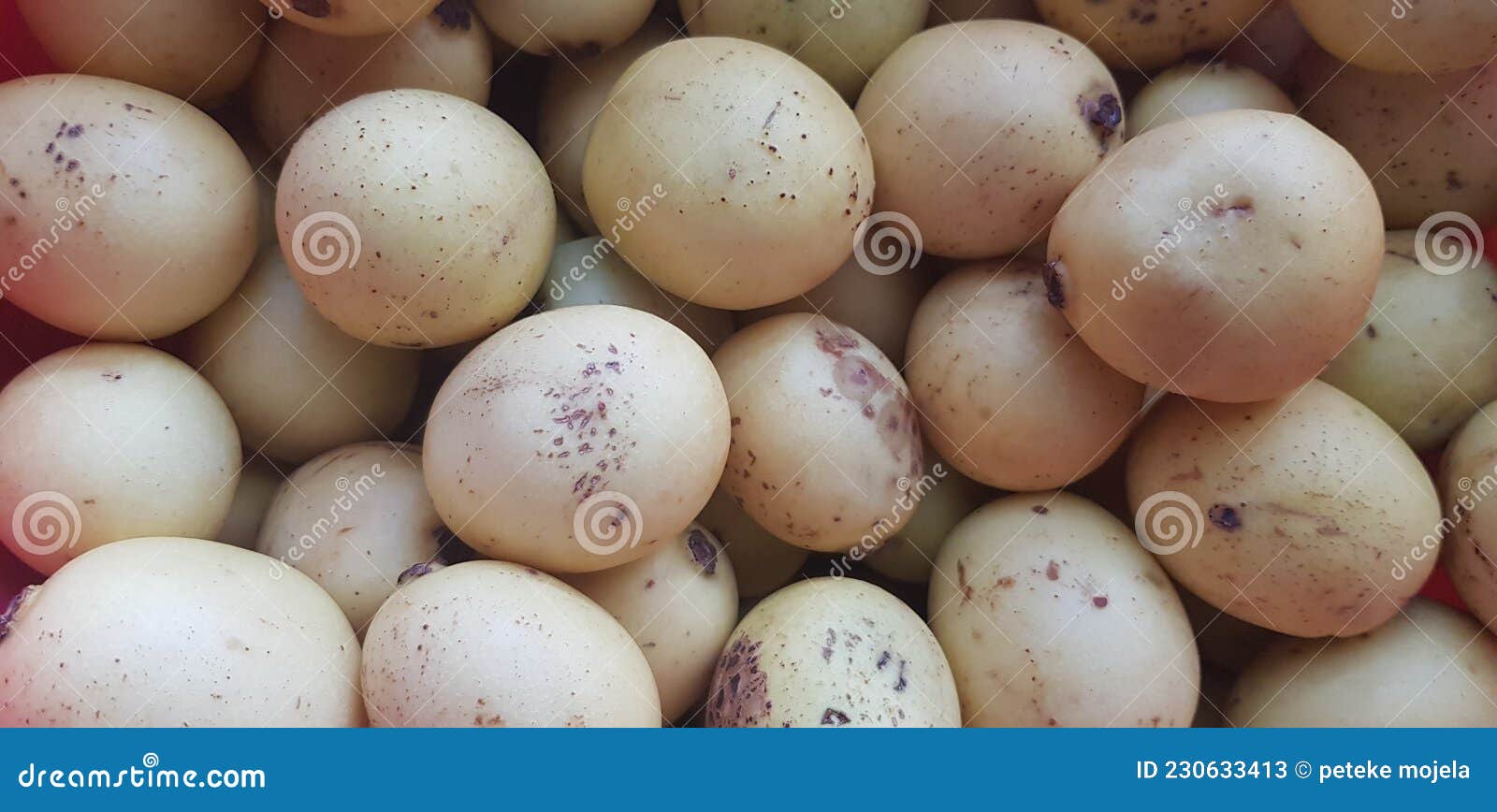Produce; Marula, Amarula; Fruit Stock Image - Image of breakfast ...