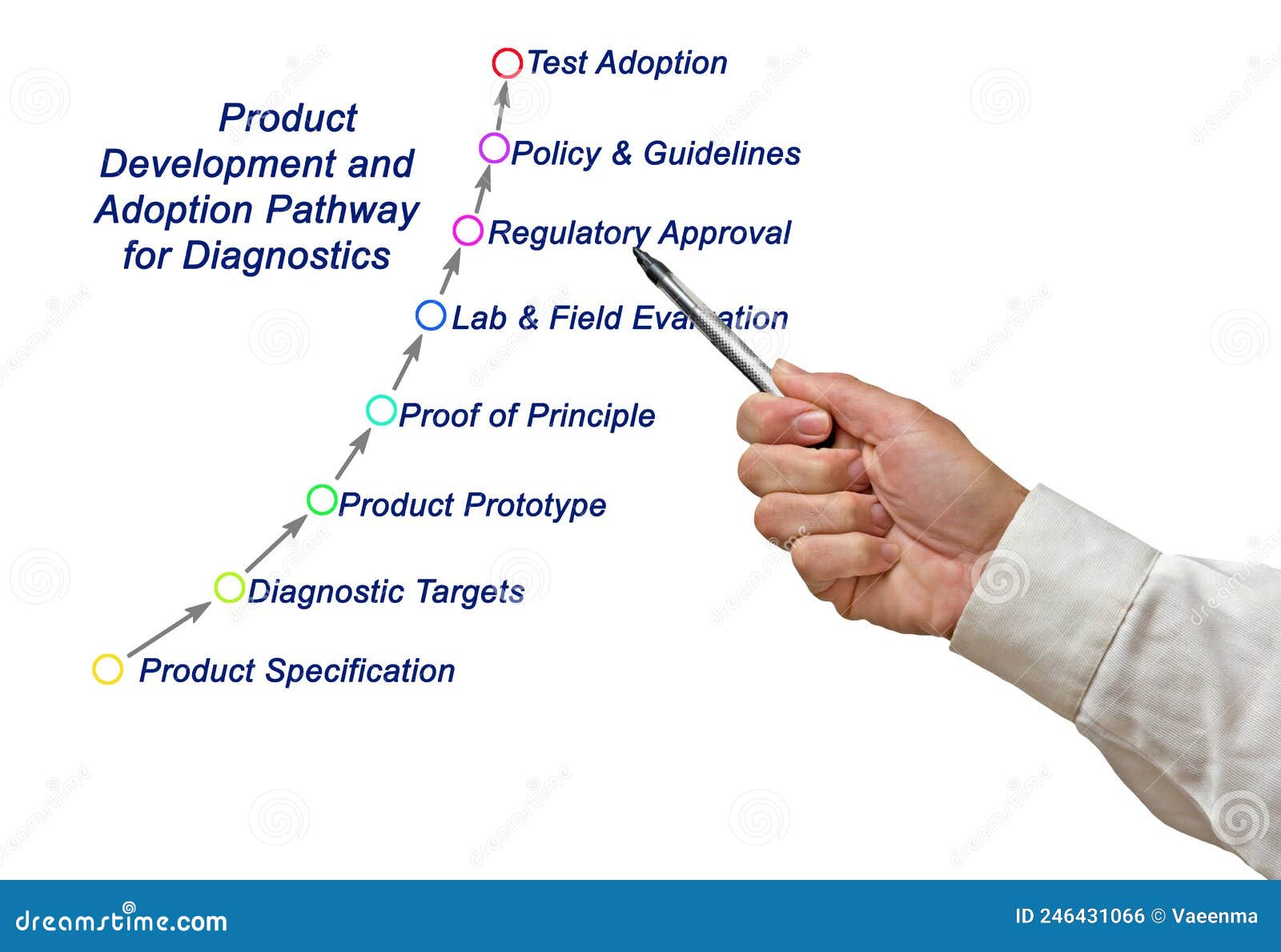 Product Development and Adoption Pathway Stock Photo - Image of ...