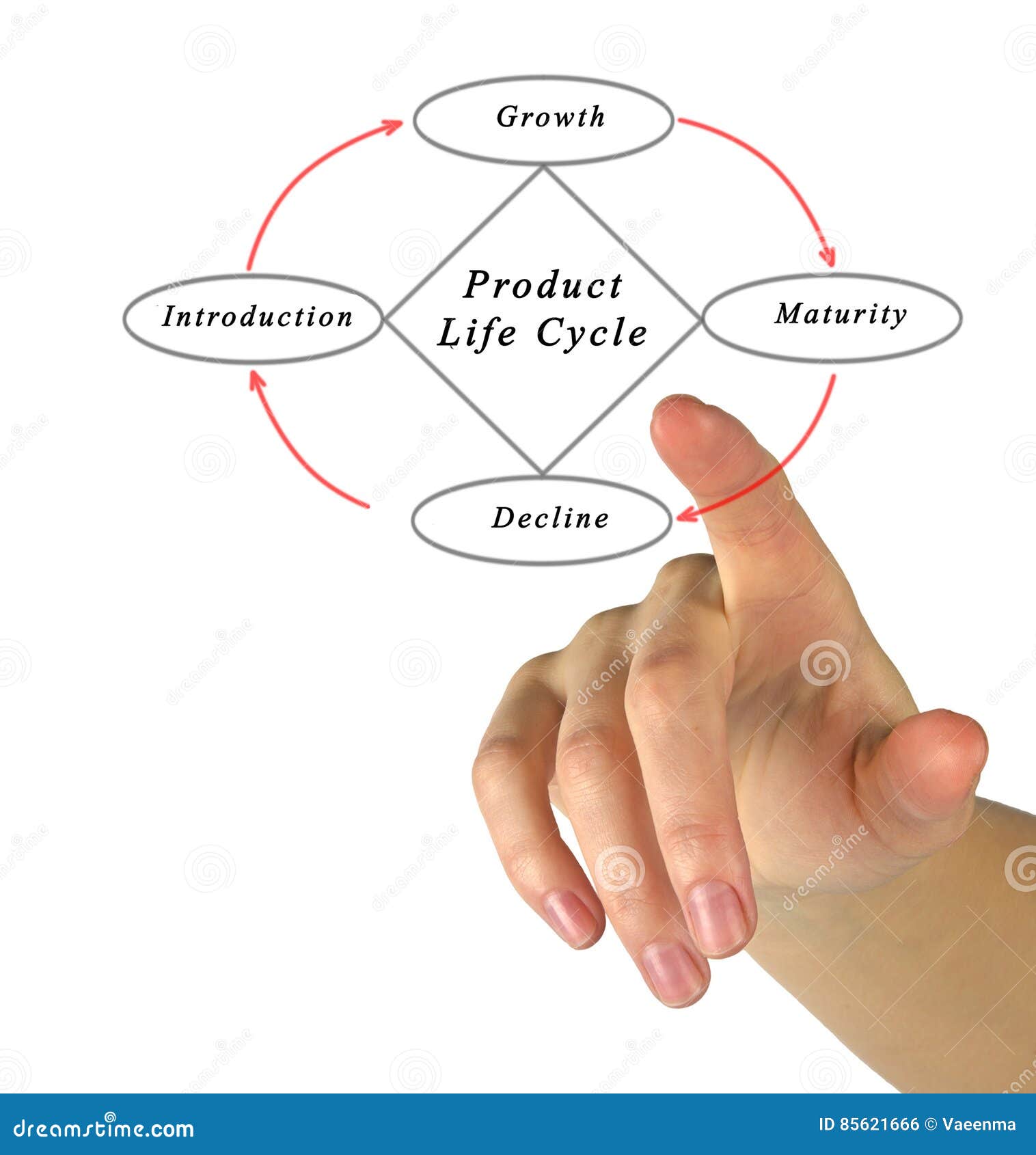 Product Life Cycle stock photo. Image of finger, life - 85621666