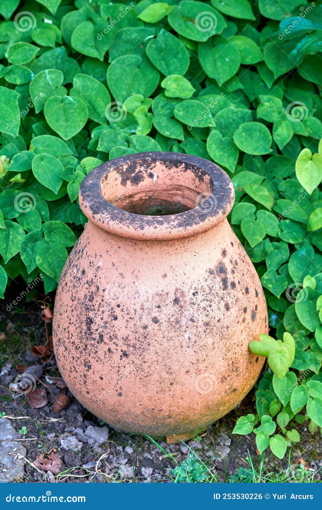 The Product of Proper Gardening. a Well Kept Garden. Stock Photo ...