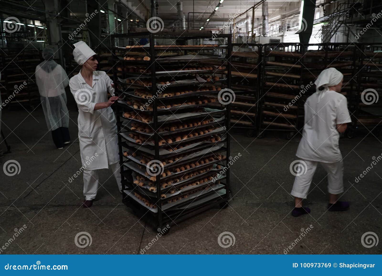 Bread making process. editorial stock image. Image of homemade - 100973769