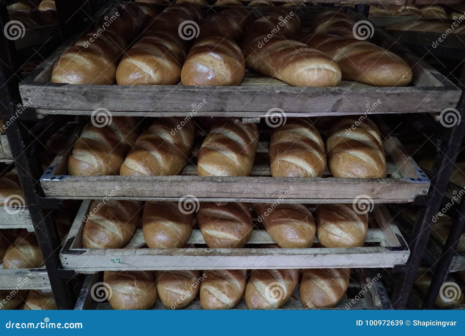 Bread making process. stock image. Image of preparing - 100972639