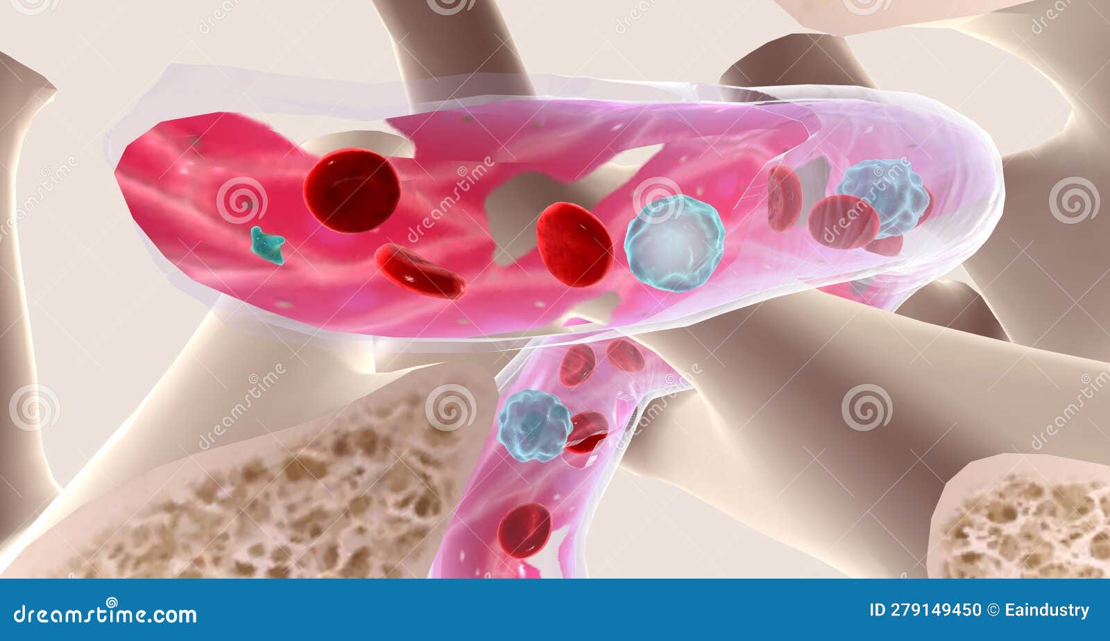 The Red Blood Cell Production Stock Photo - Image of cancer, medic ...