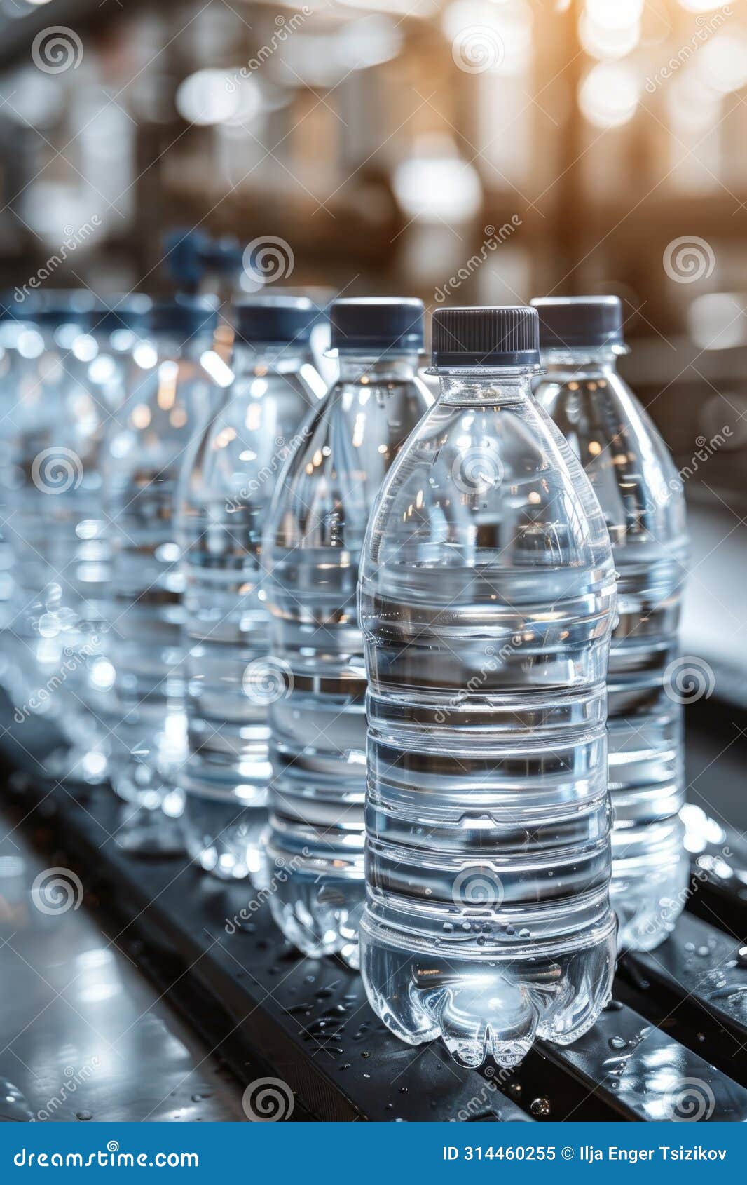 Production of Bottled Drinking Water in Plastic Containers at a ...