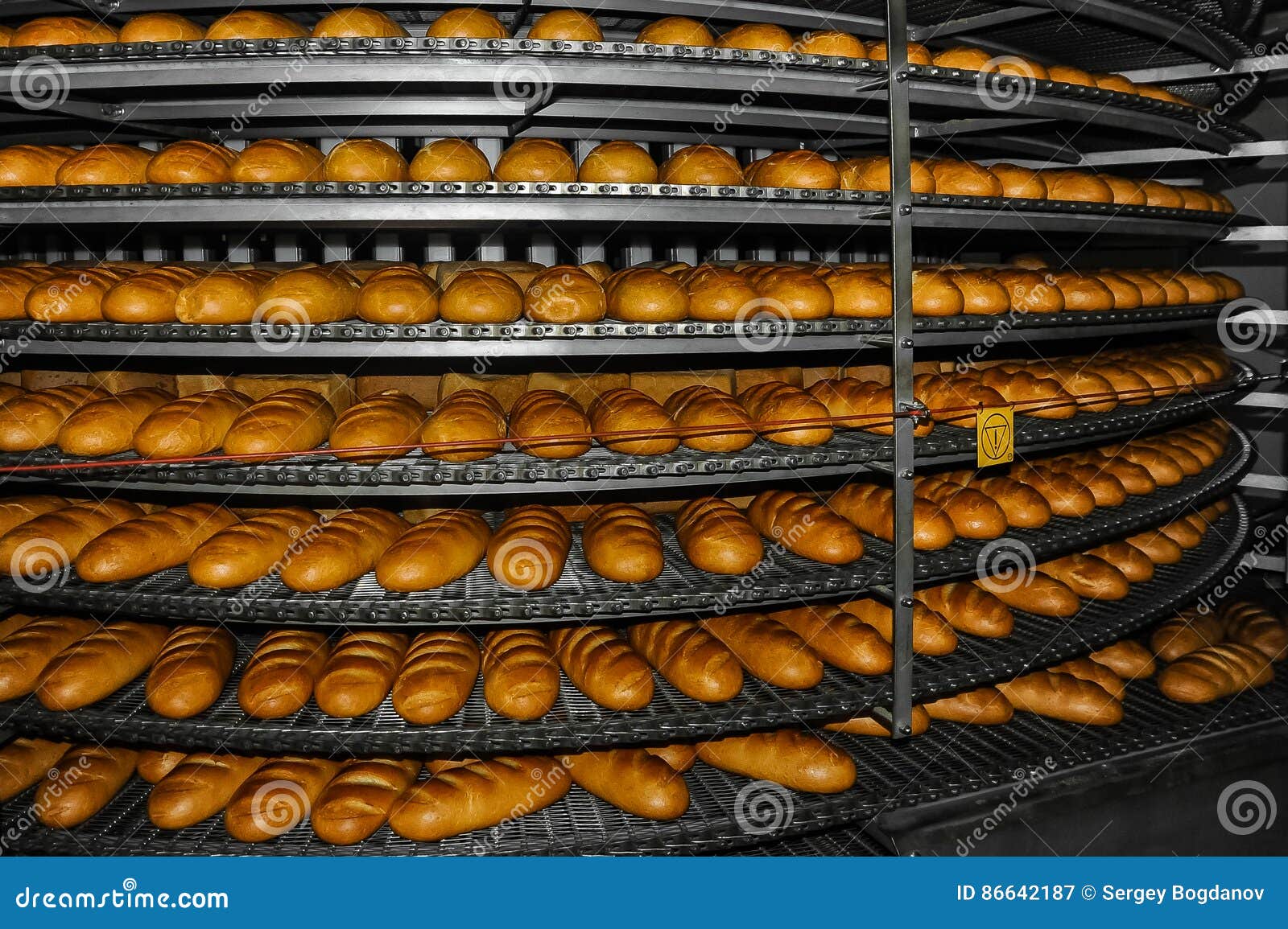 Production of Bread at the Bakery Stock Image - Image of factory, dough ...