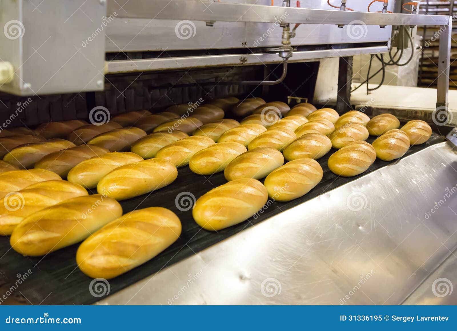 Production of Bread in Factory Stock Image - Image of heat, bakehouse ...