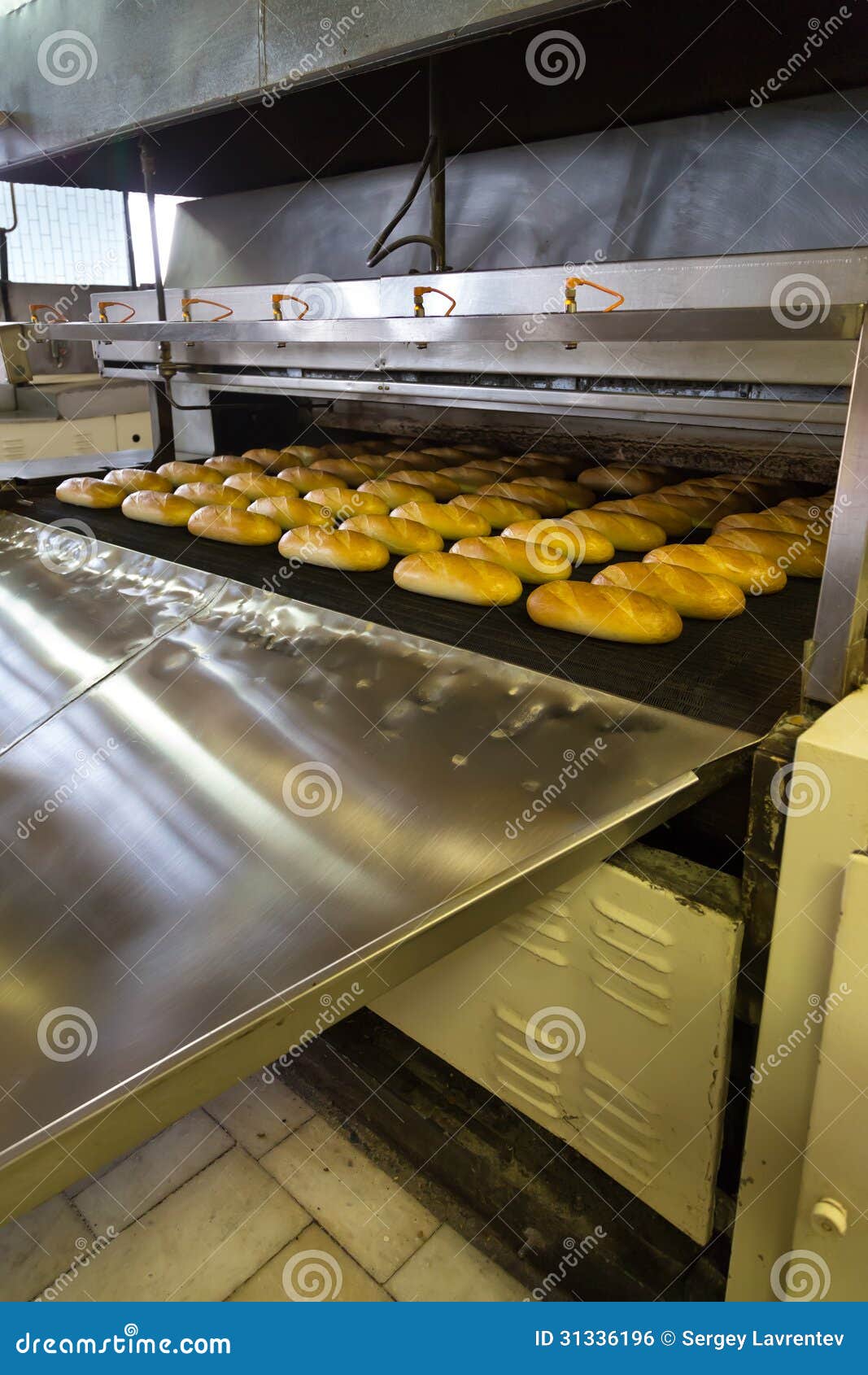 Production of Bread in Factory Stock Photo - Image of cereal, wheat ...