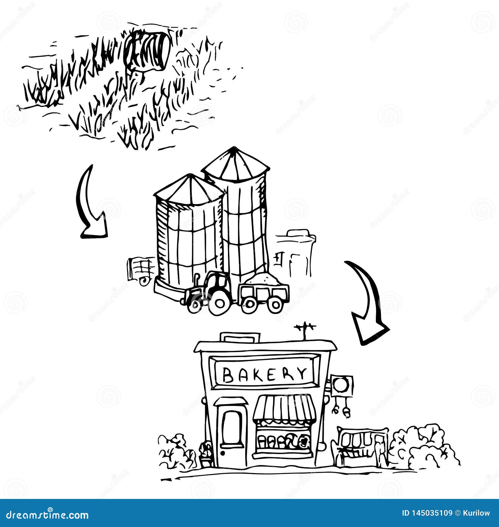 Production Chain for the Production of Bread, from the Field To the ...