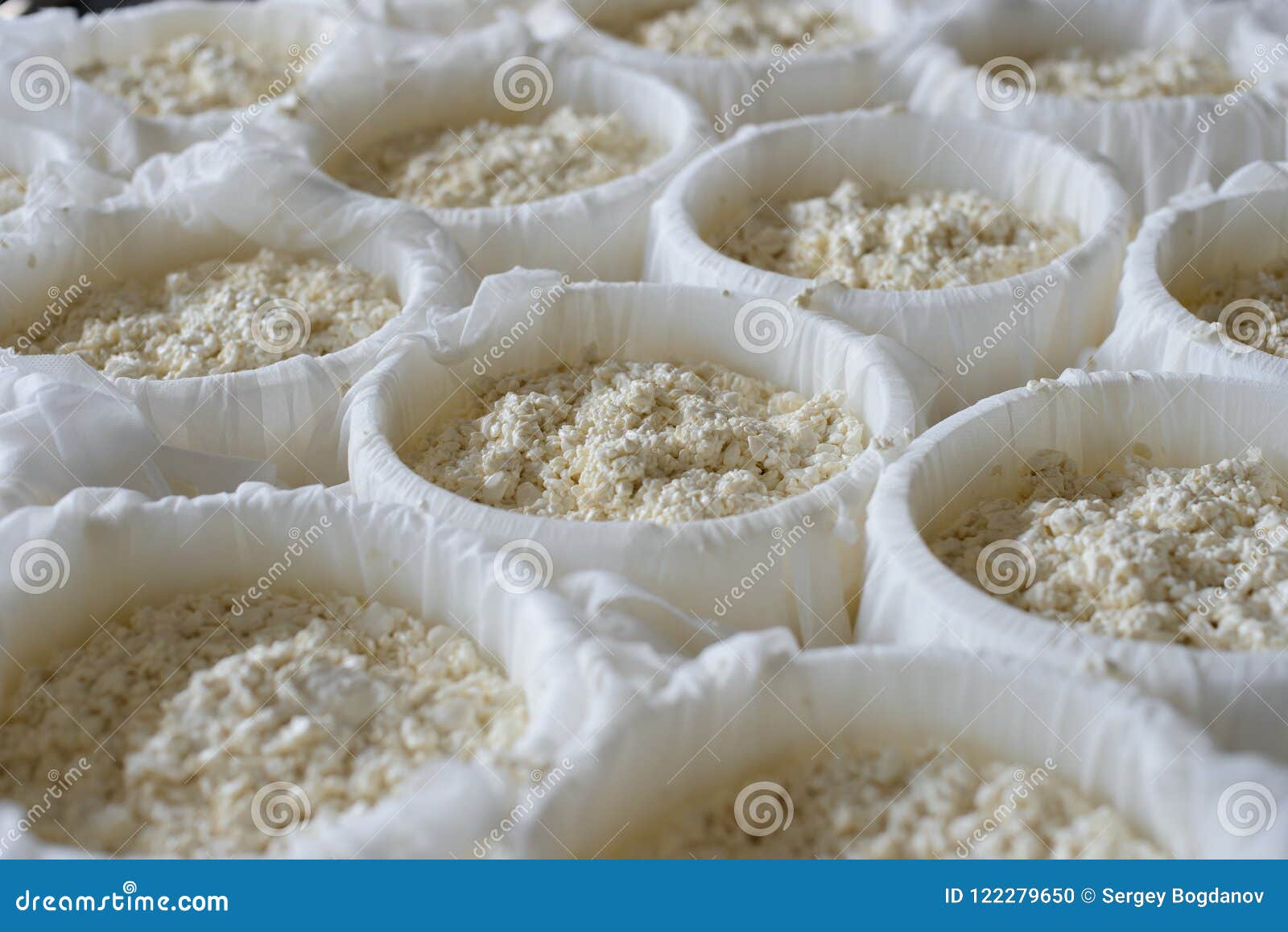 Production of Cheese in the Dairy Stock Photo - Image of making ...