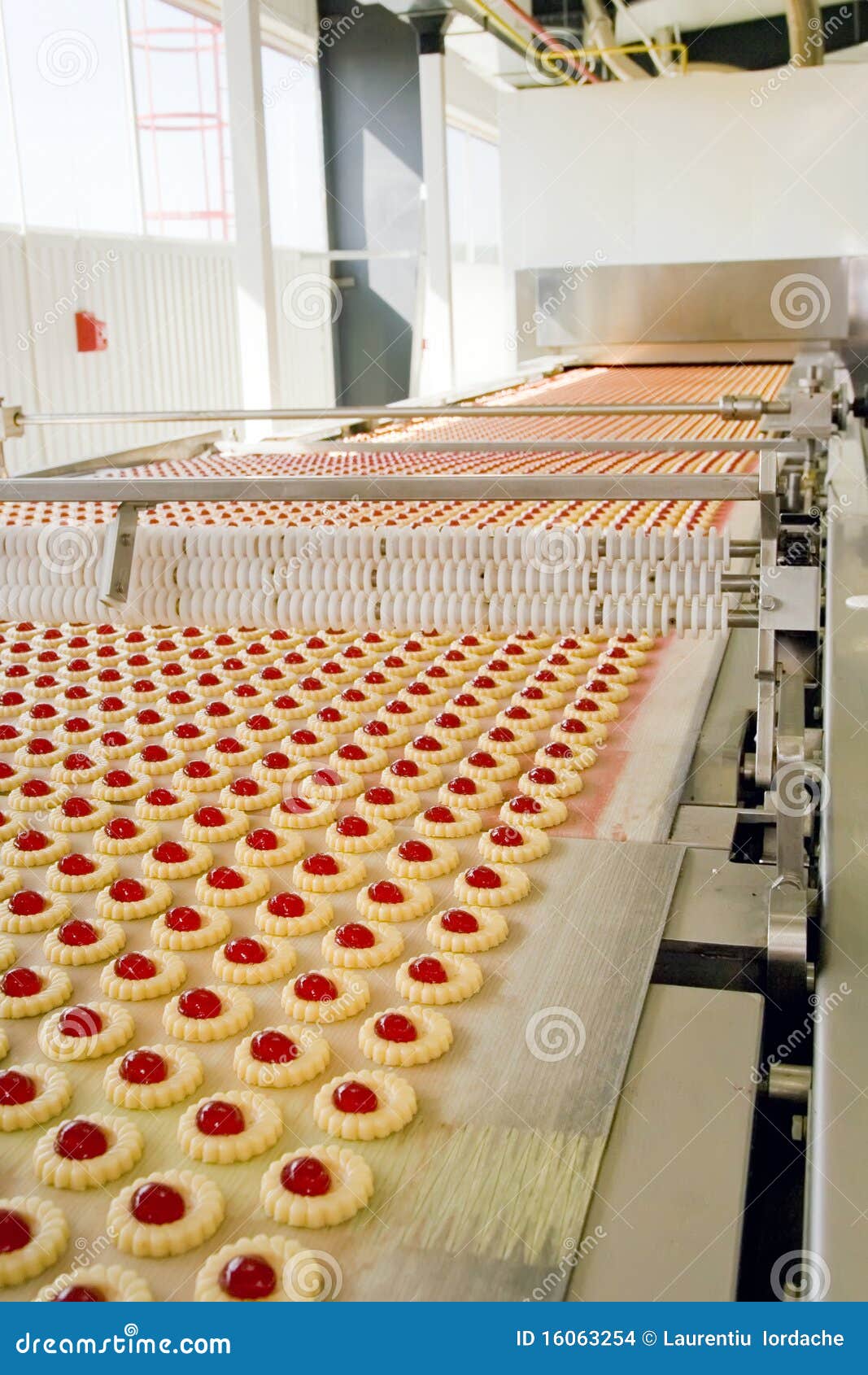 Production Cookie in Factory Stock Photo - Image of flour, food: 16063254