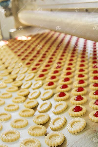 Production Cookie in Factory Stock Image - Image of lots, cookies: 16063257