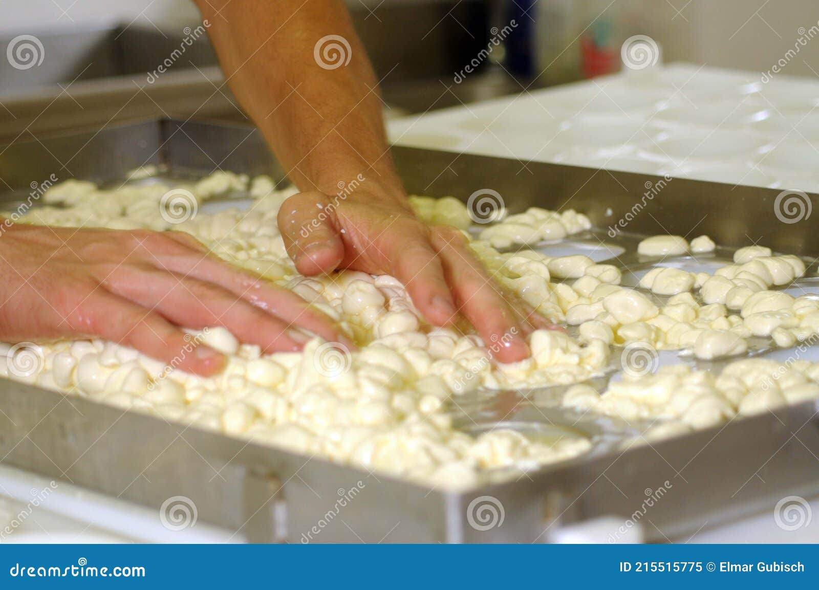 The Production of Cream Cheese Stock Image - Image of agriculture ...