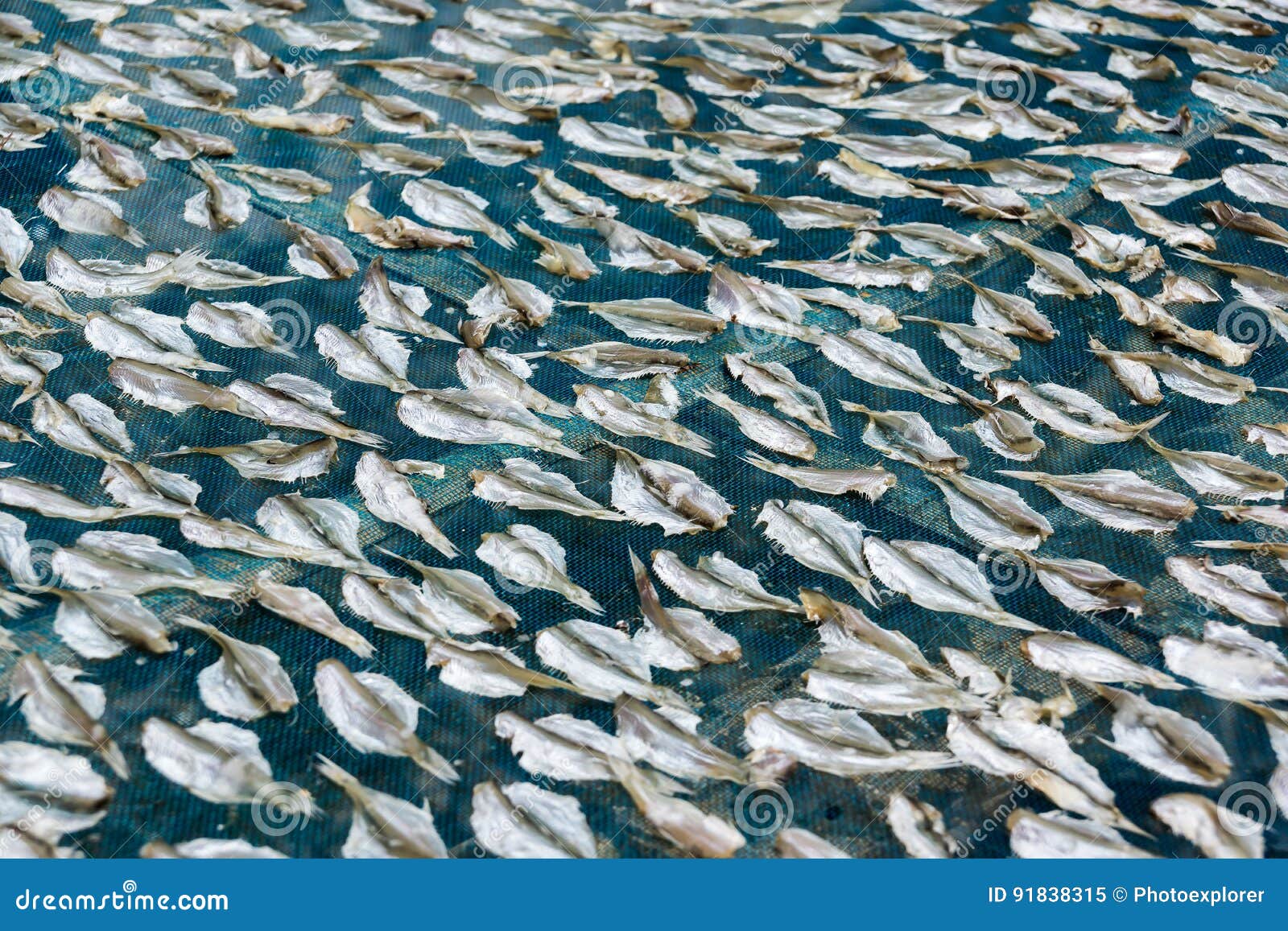 Production dried fish stock image. Image of cook, process - 91838315