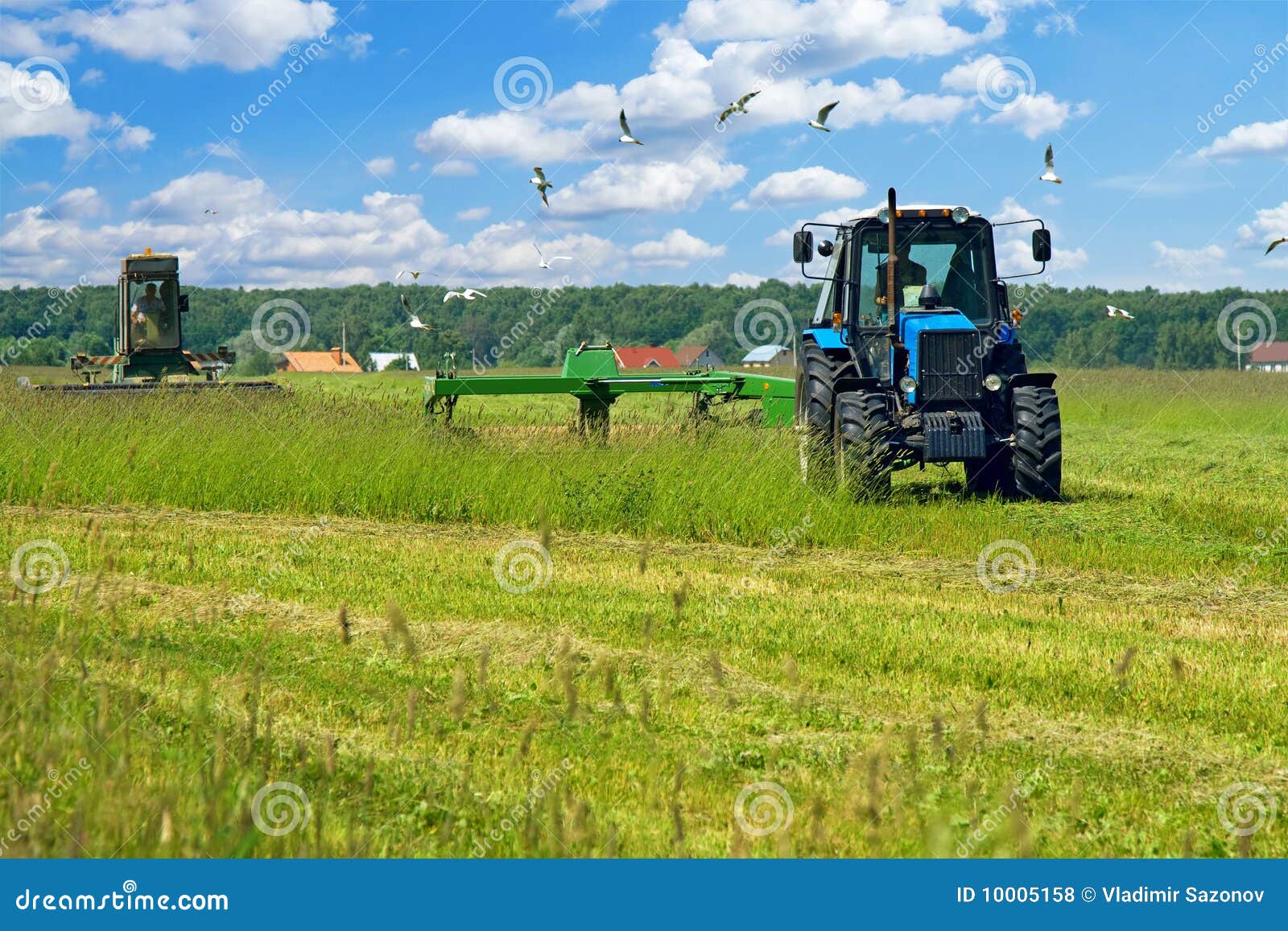 Production of grass silage stock photo. Image of industry - 10005158